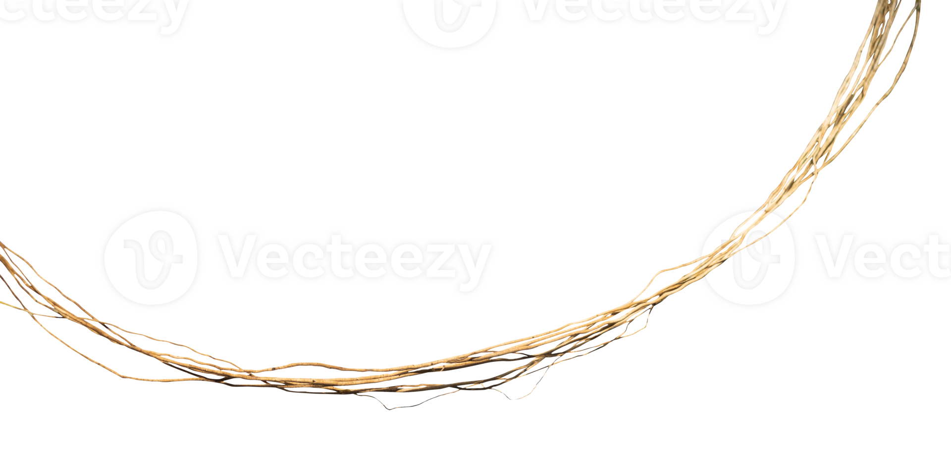 Natural Hanging Tree Root Element Isolated 25254284 Png