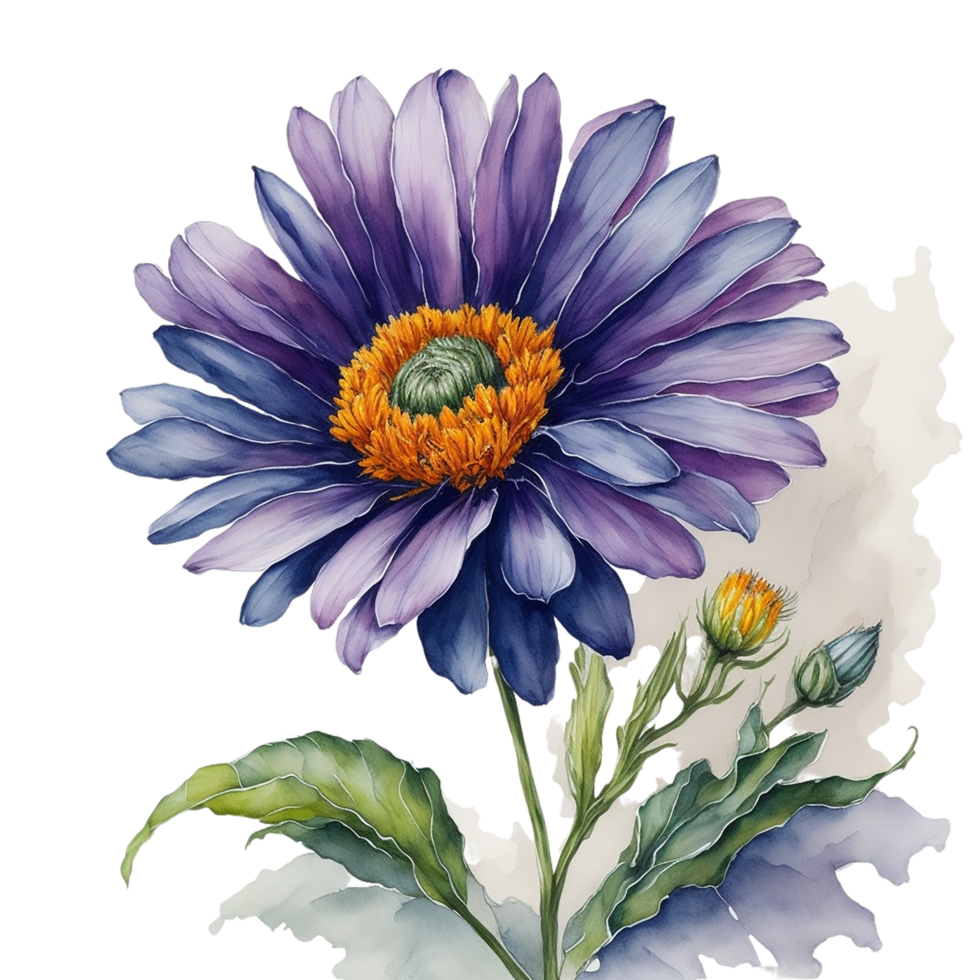 , Watercolor Flower 25256290 PNG , Watercolor Flower 25256290 PNG