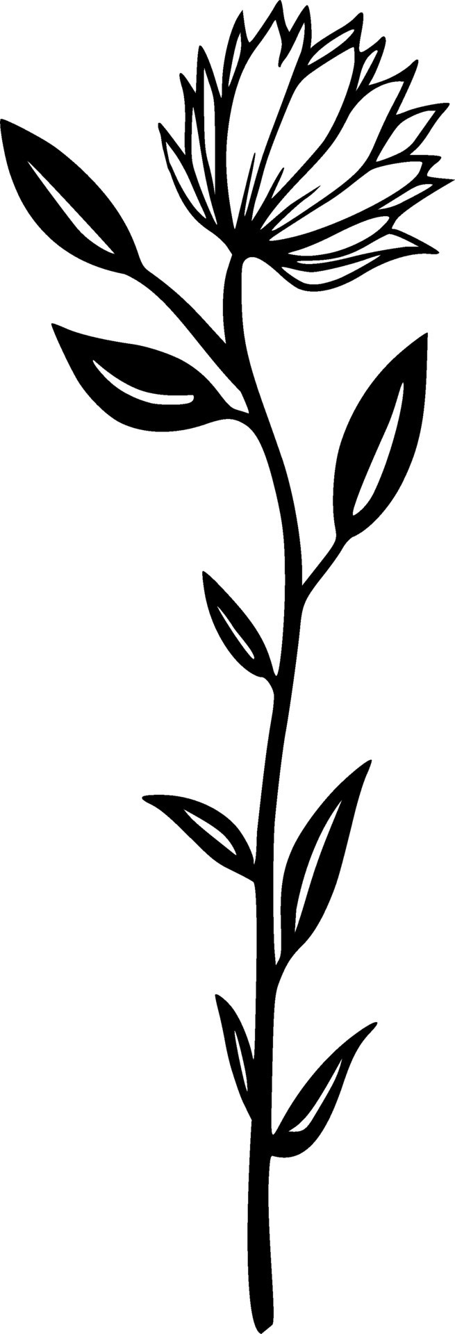 Flower black line vector illustration 25257715 Vector Art at Vecteezy