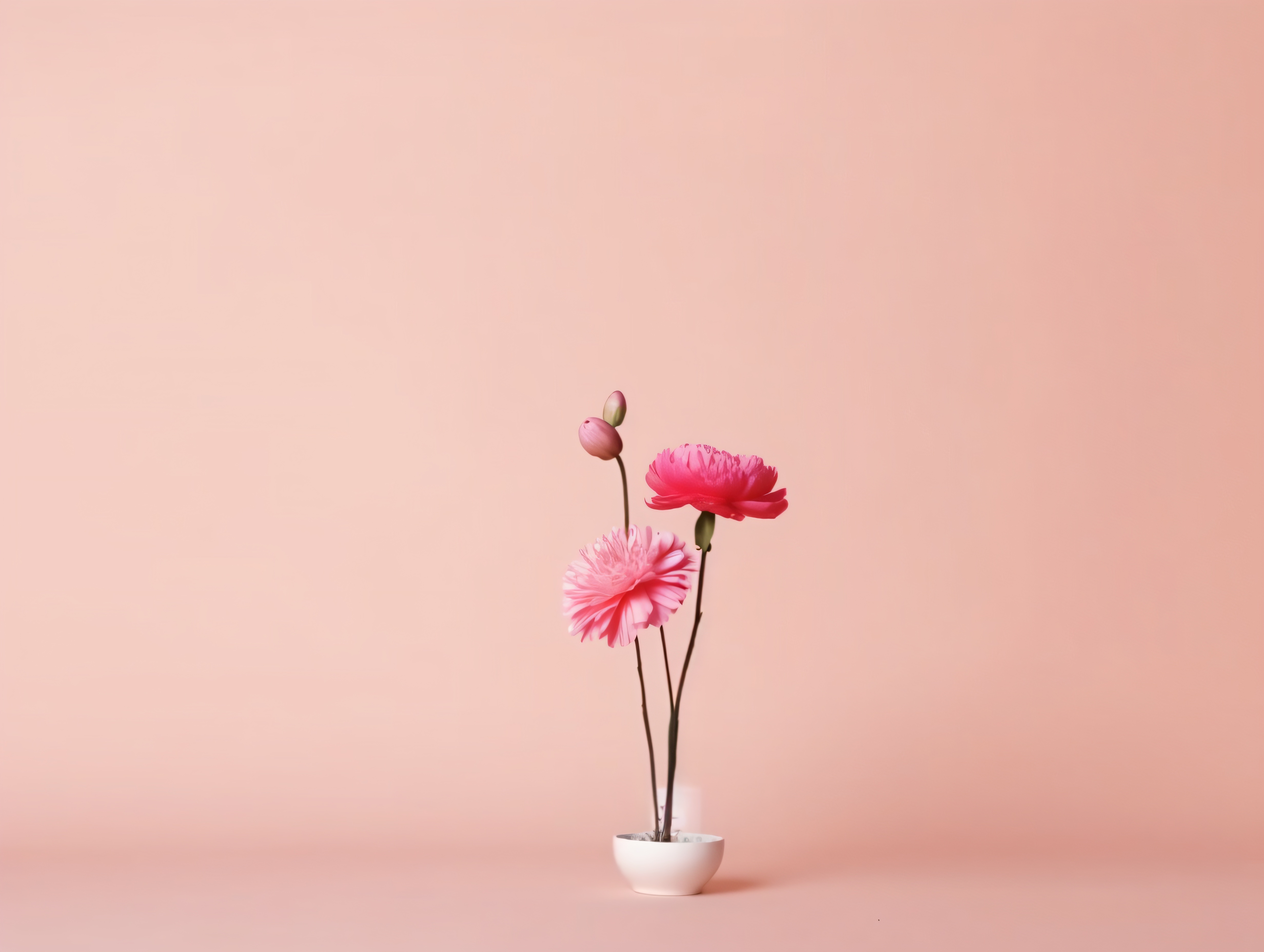 Minimalist Flower Background Stock Photos, Images and Backgrounds for ...