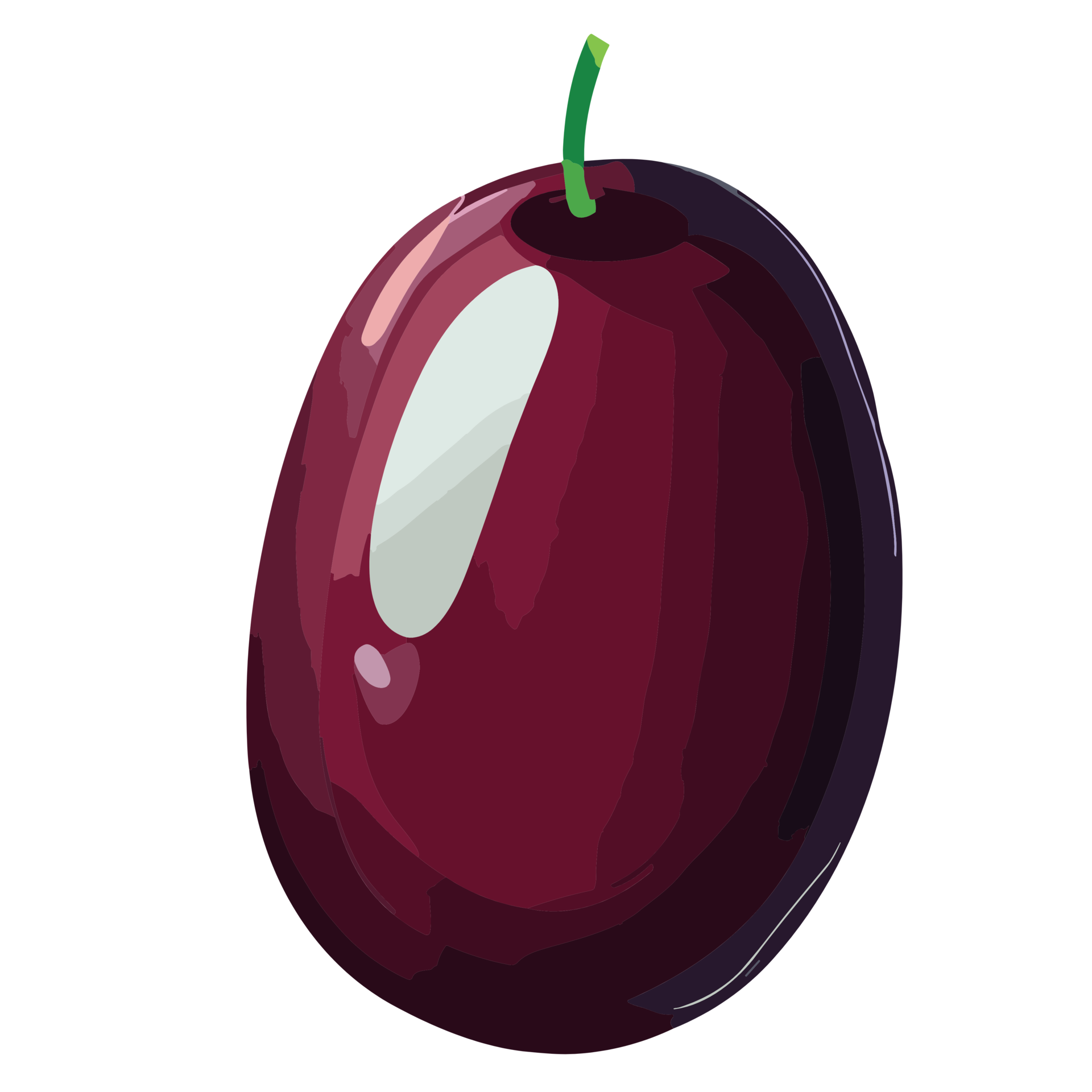 Red Jambul Fruit