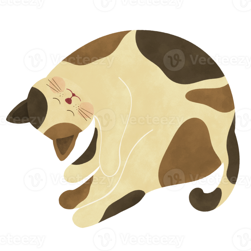 Cute Cartoon Cat Illustration 25347173 Png