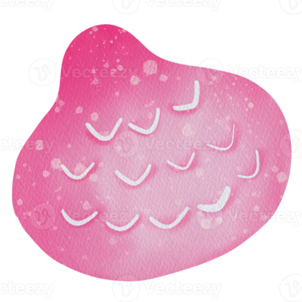 Dibujo Conchas Acuarela 25347284 Png