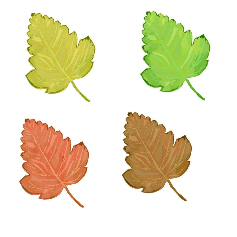 tree leaf vector set 25365226 Vector Art at Vecteezy