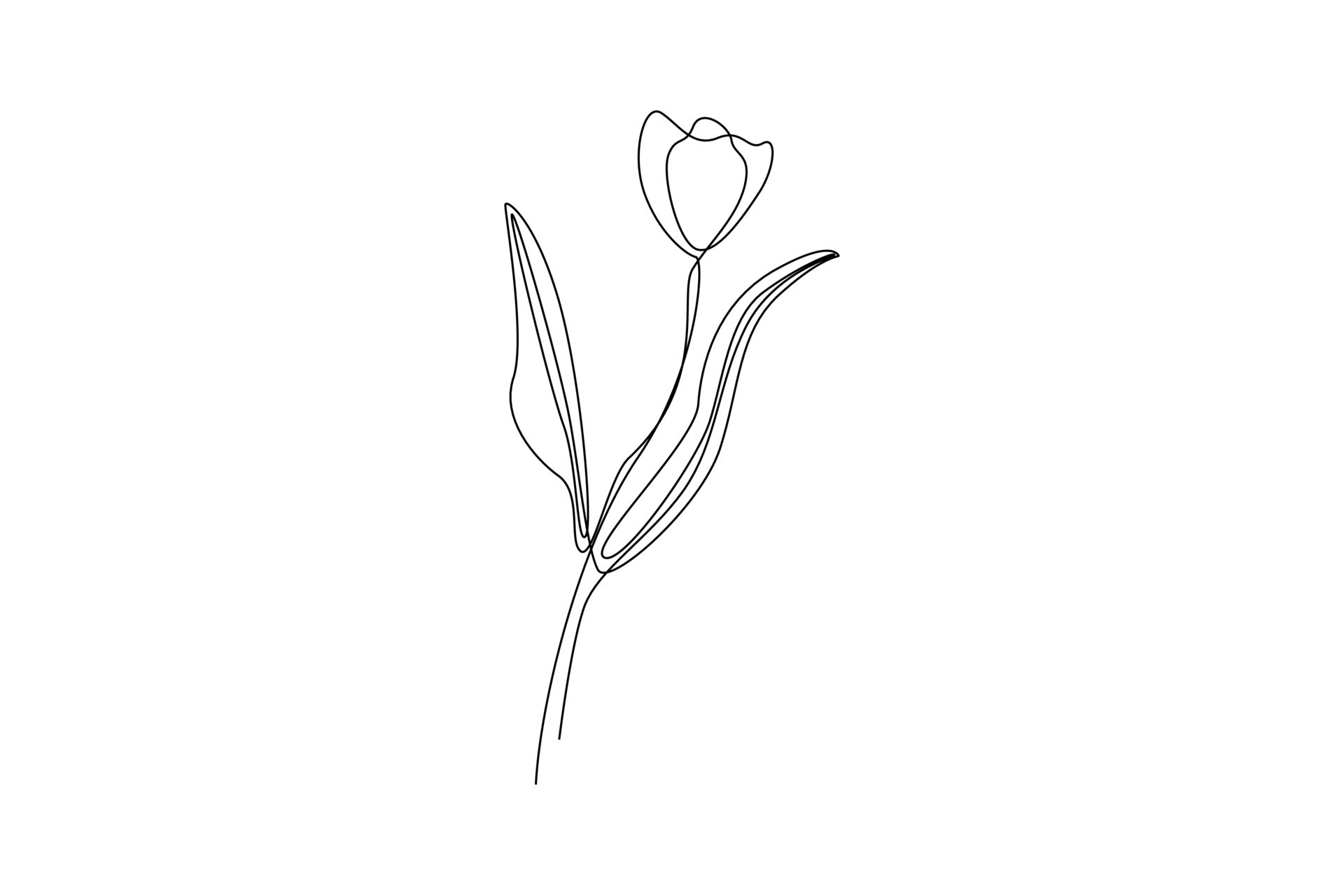 Continuous One Line Drawing Potted Plants And Flowers For The Interior