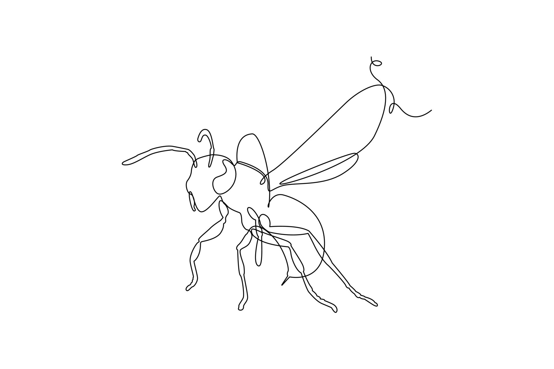 Continuous One Line Drawing Insects Concept Single Line Draw Design Vector Graphic Illustration