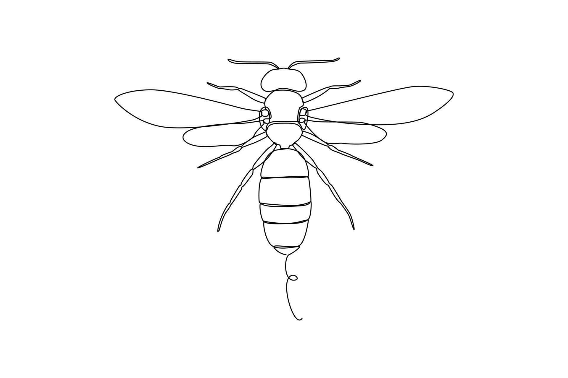 Continuous One Line Drawing Insects Concept Single Line Draw Design Vector Graphic Illustration