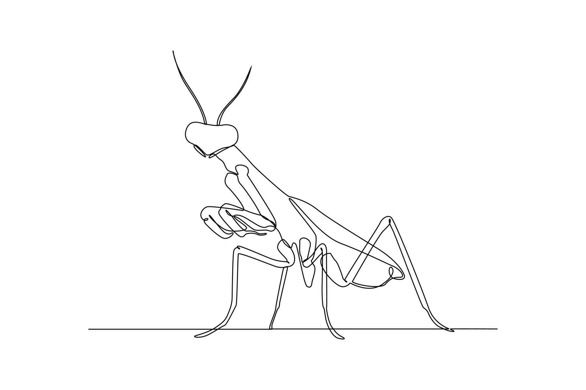 Continuous One Line Drawing Insects Concept Single Line Draw Design Vector Graphic Illustration