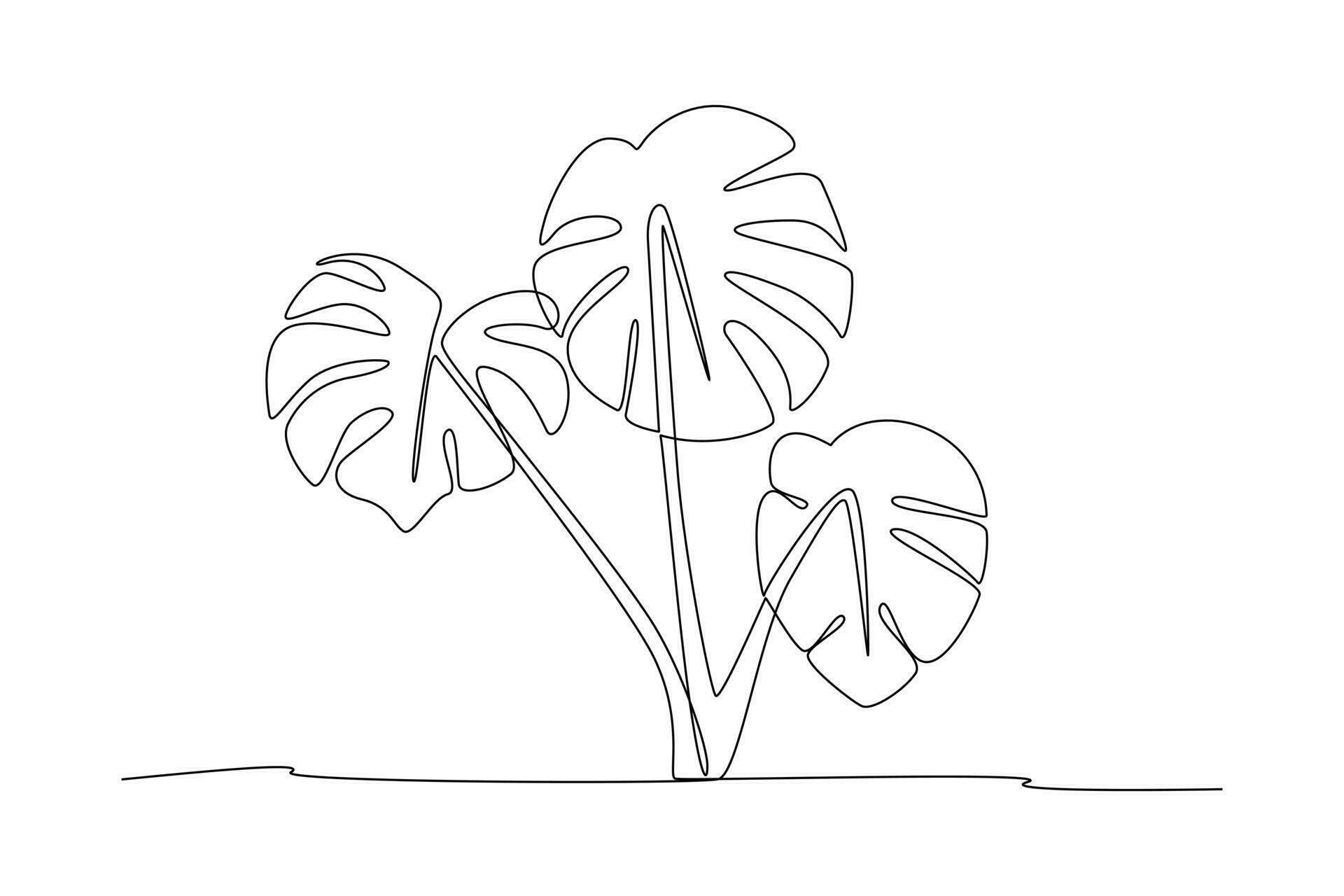 Single One Line Drawing Plants And Herbs Concept Continuous Line Draw