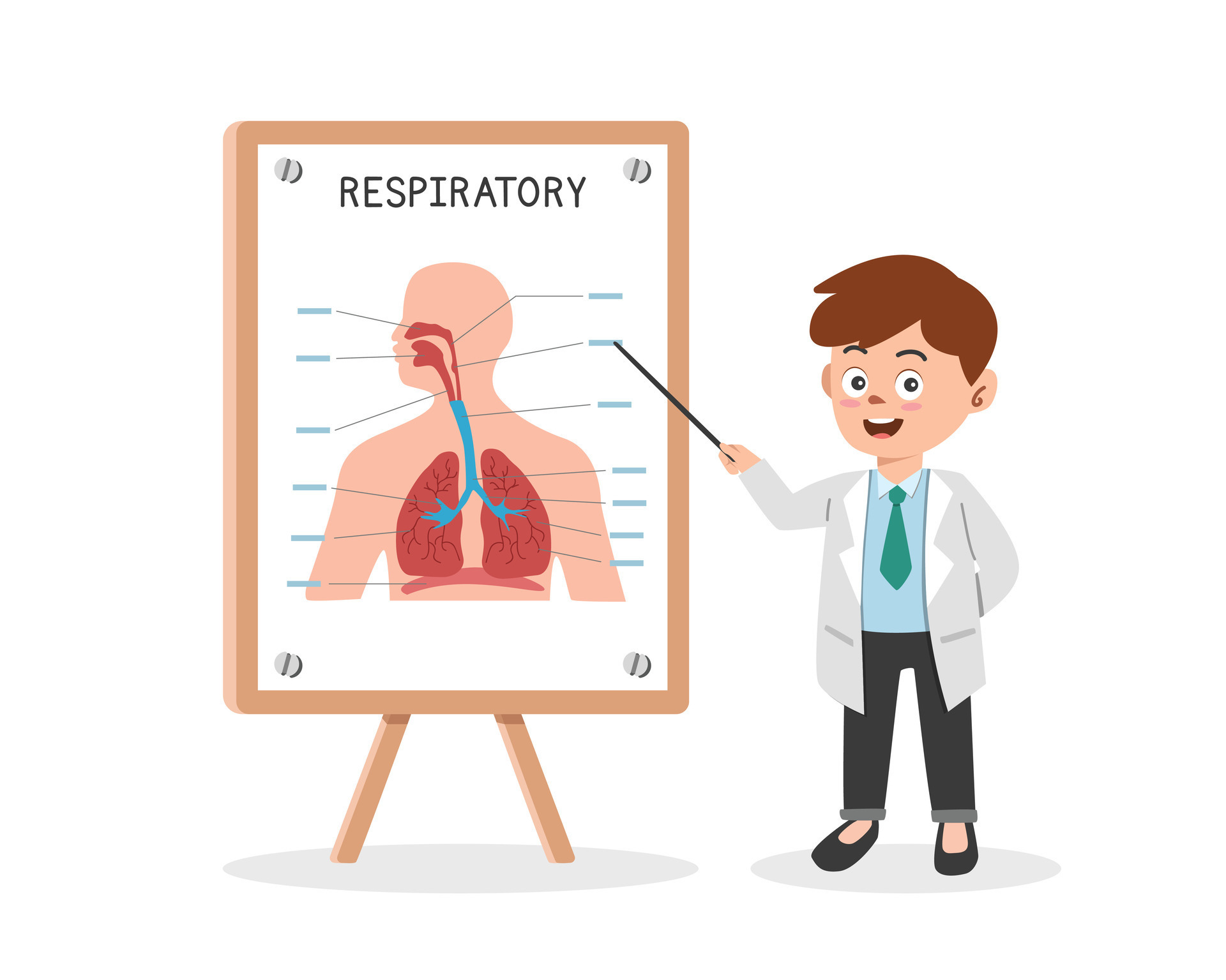 Respiratory System clipart cartoon style. Doctor presenting human ... Respiratory System clipart cartoon style. Doctor presenting human ...