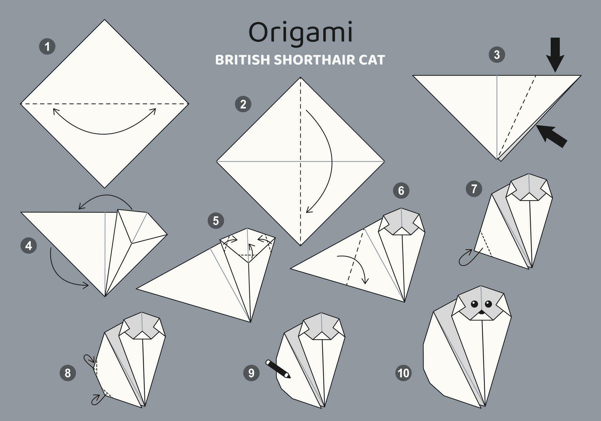 British shorthair cat origami scheme tutorial moving model on grey backdrop. Origami for kids ...