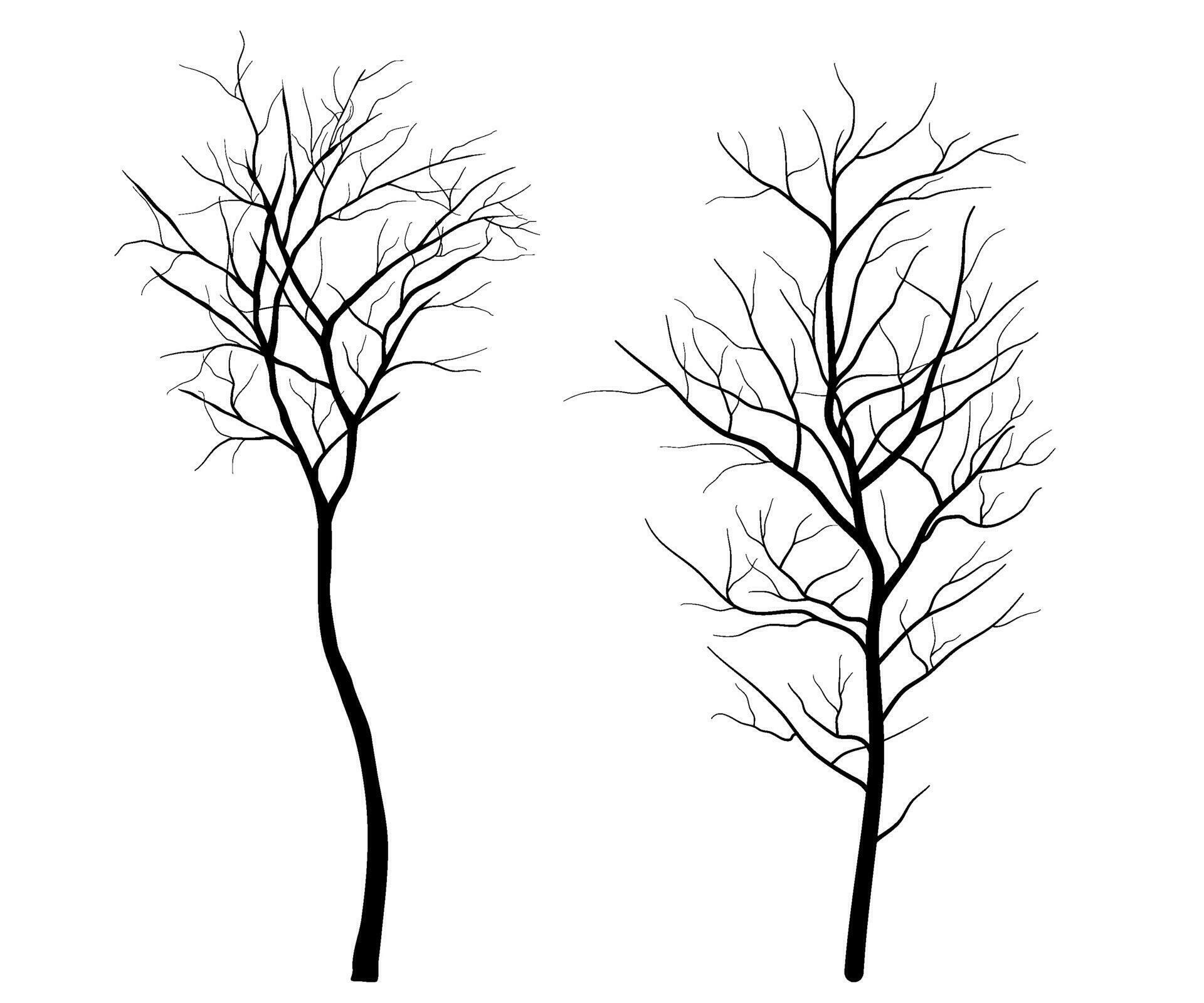 Set of Deciduous Bare Tree Silhouette 25425778 Vector Art at Vecteezy