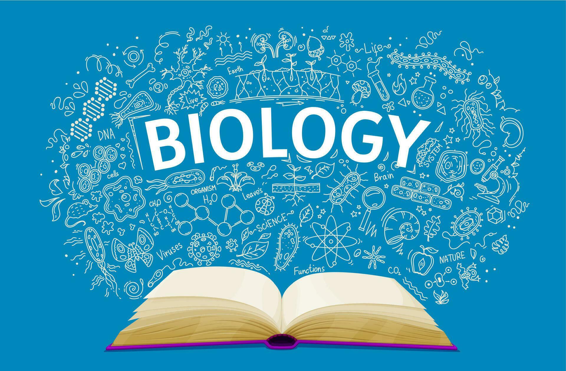 Biology textbook on school chalkboard background 25432673 Vector Art at ...