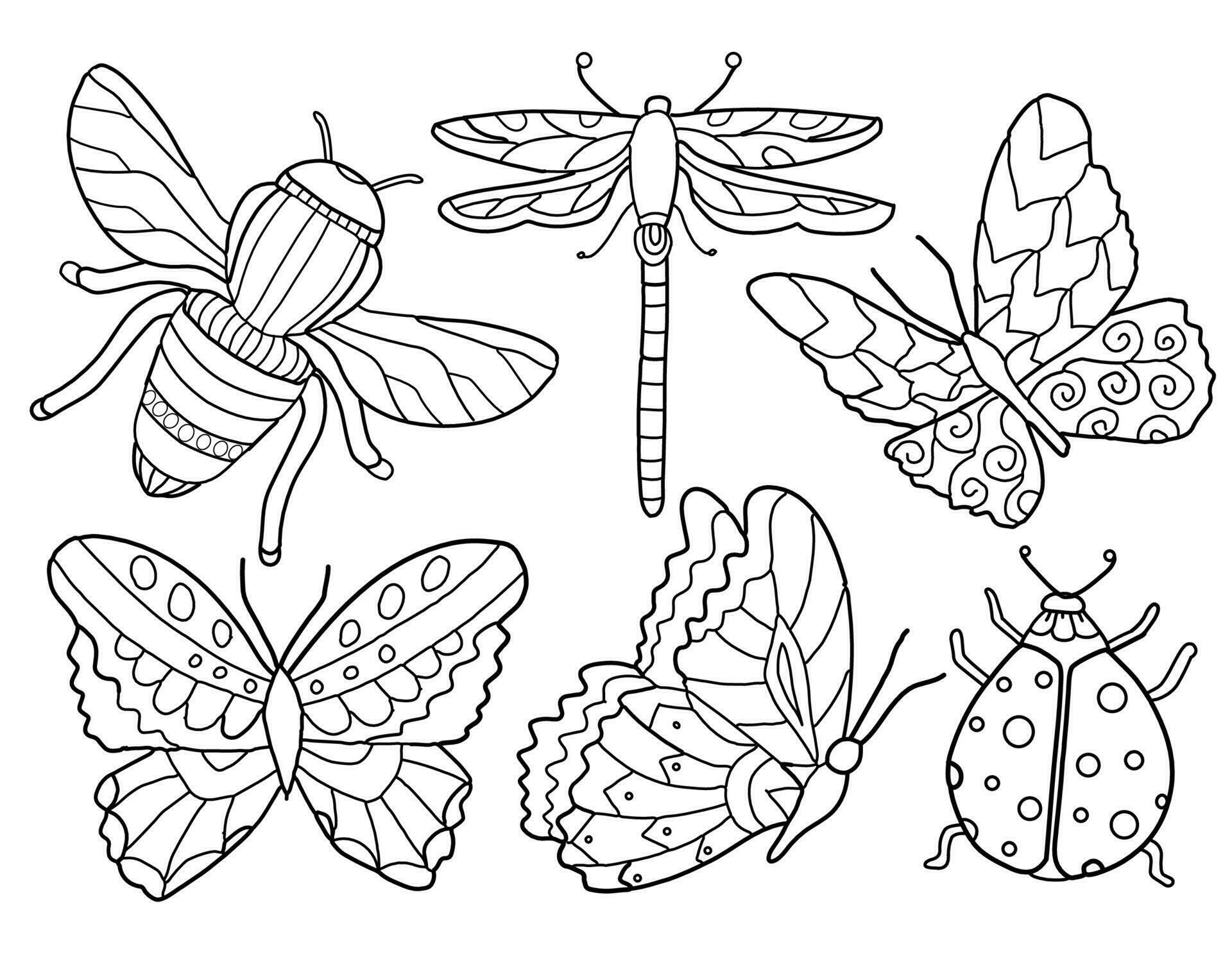 Ornate linear Insect drawings. Butterflies, bee, ladybug, dragonfly ...