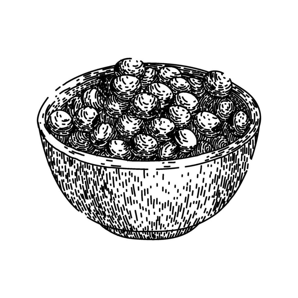 Soya Bean Food Bowl Sketch Hand Drawn Vector 25440611 Vector Art At Vecteezy