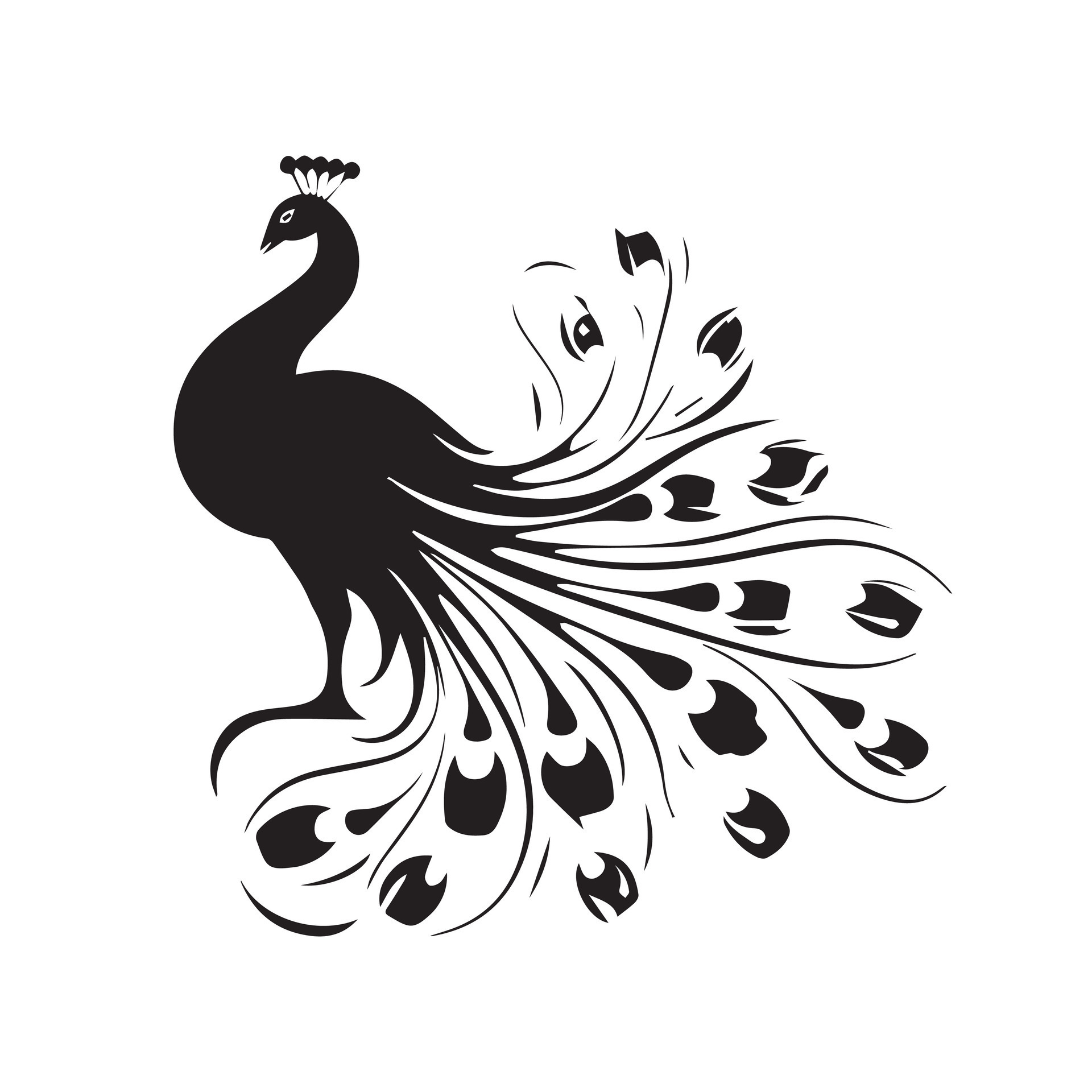 Peacock Silhouette Character With Vector Illustration 25455386 Vector