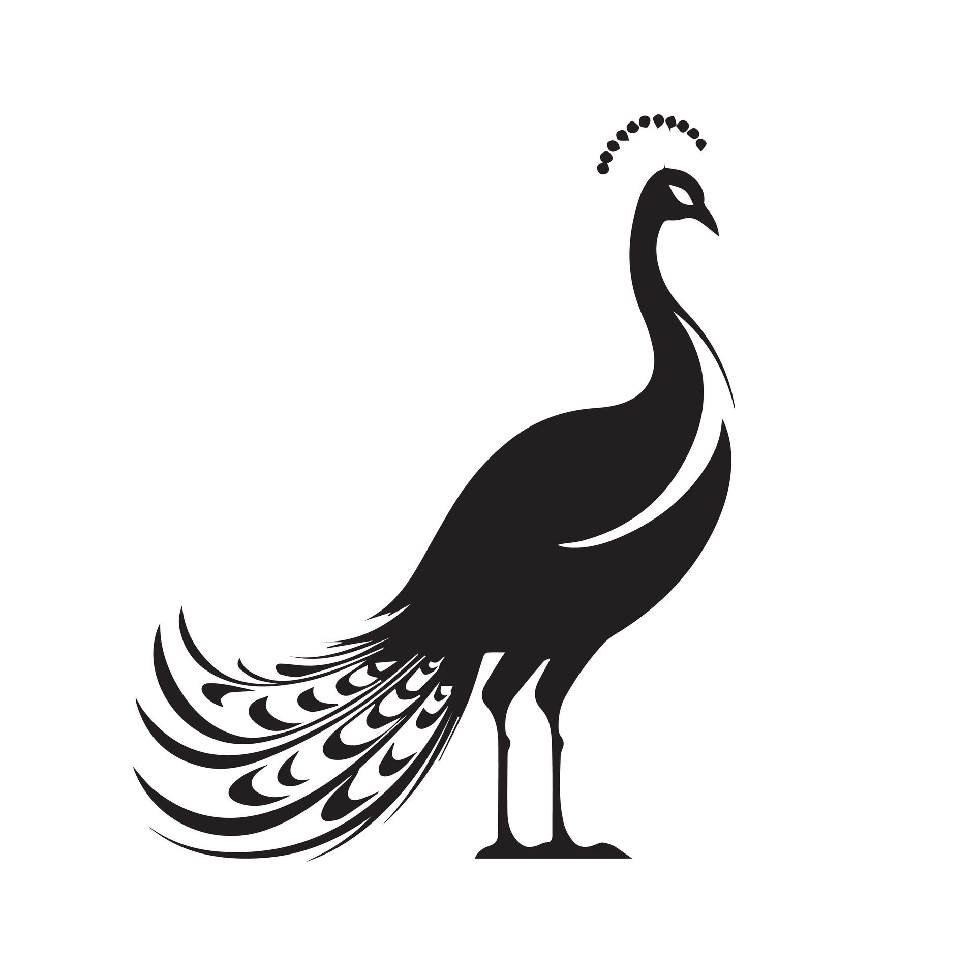Peacock Silhouette Character With Vector Illustration 25455426 Vector
