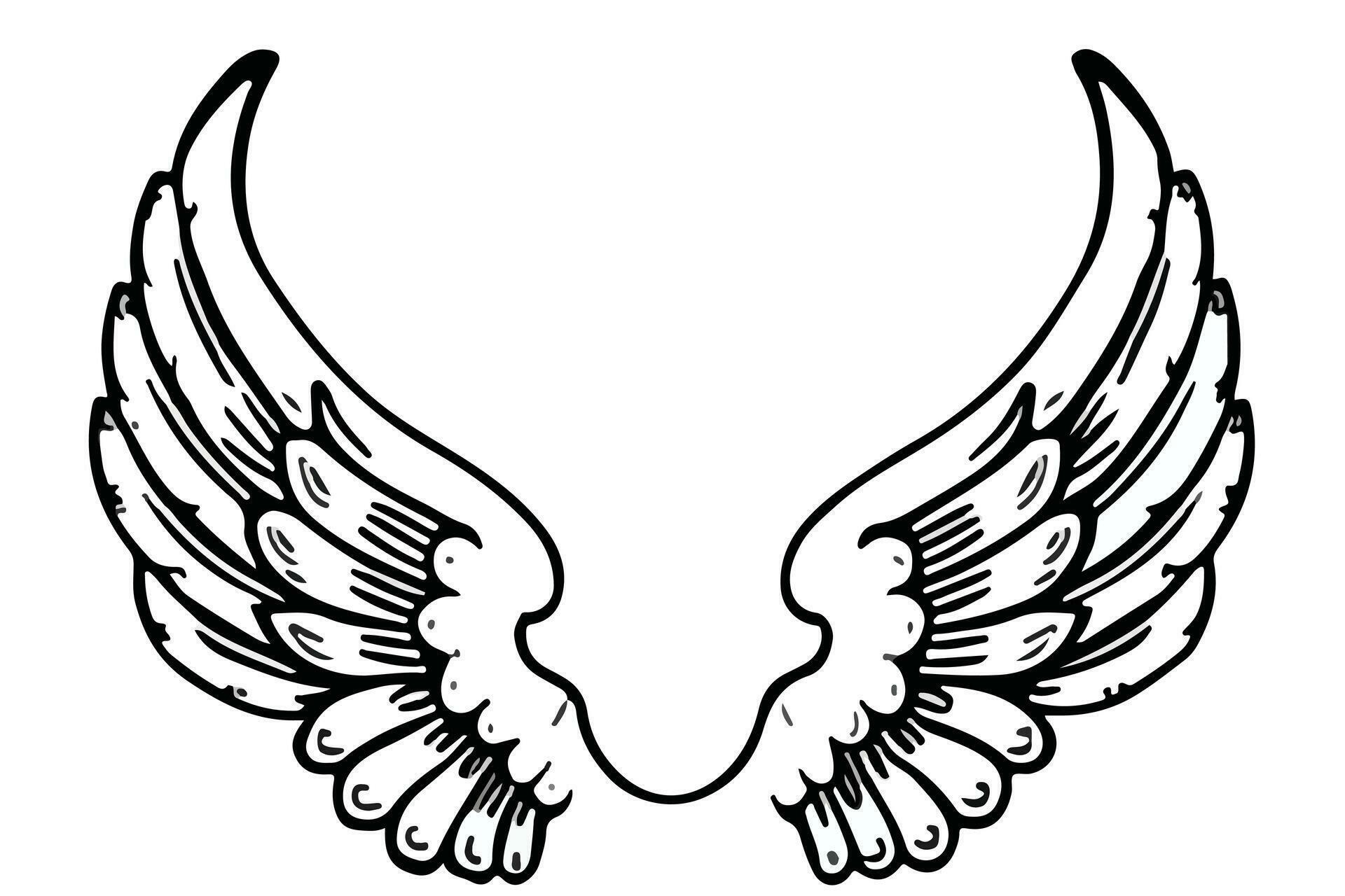 black and white angel wings clipart 25498237 Vector Art at Vecteezy