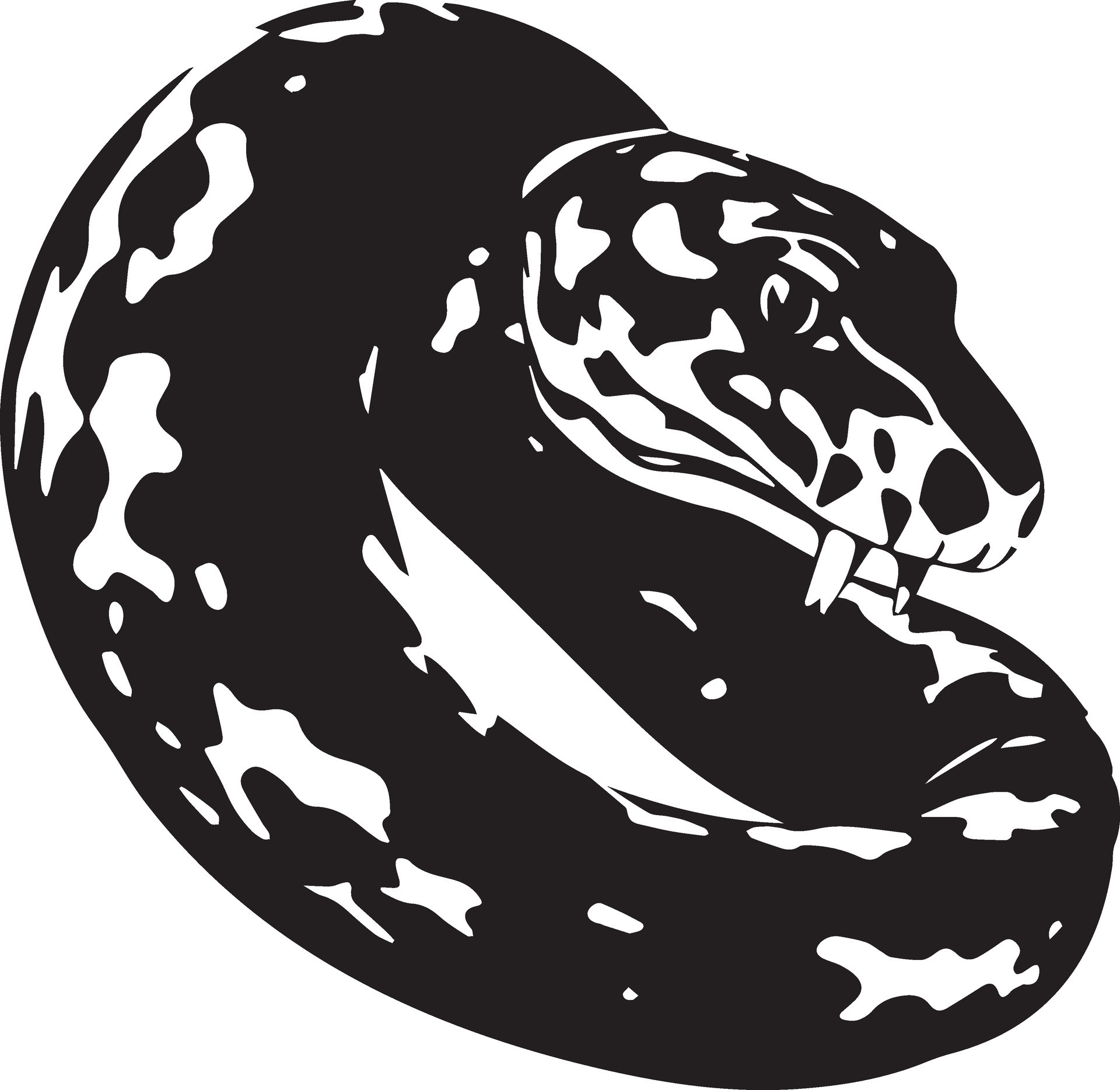 Snake Black And White Vector Template for Cutting and Printing 25535736 ...