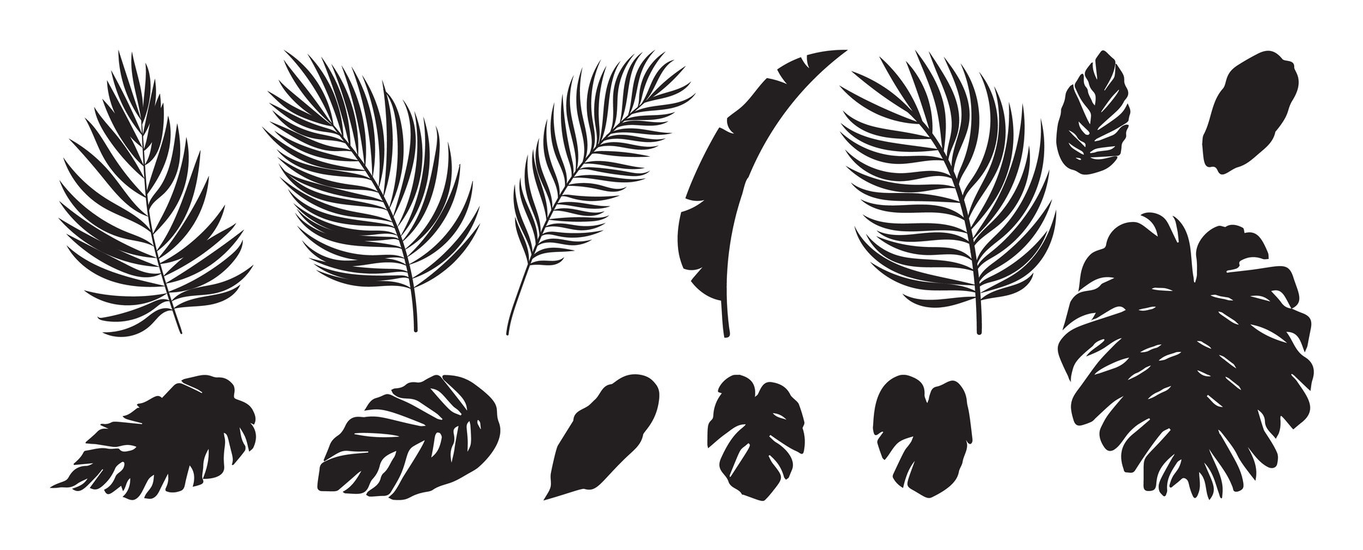 Collection of silhouette leaf elements. Set of tropical plants, leaf branch, palm, monstera ...