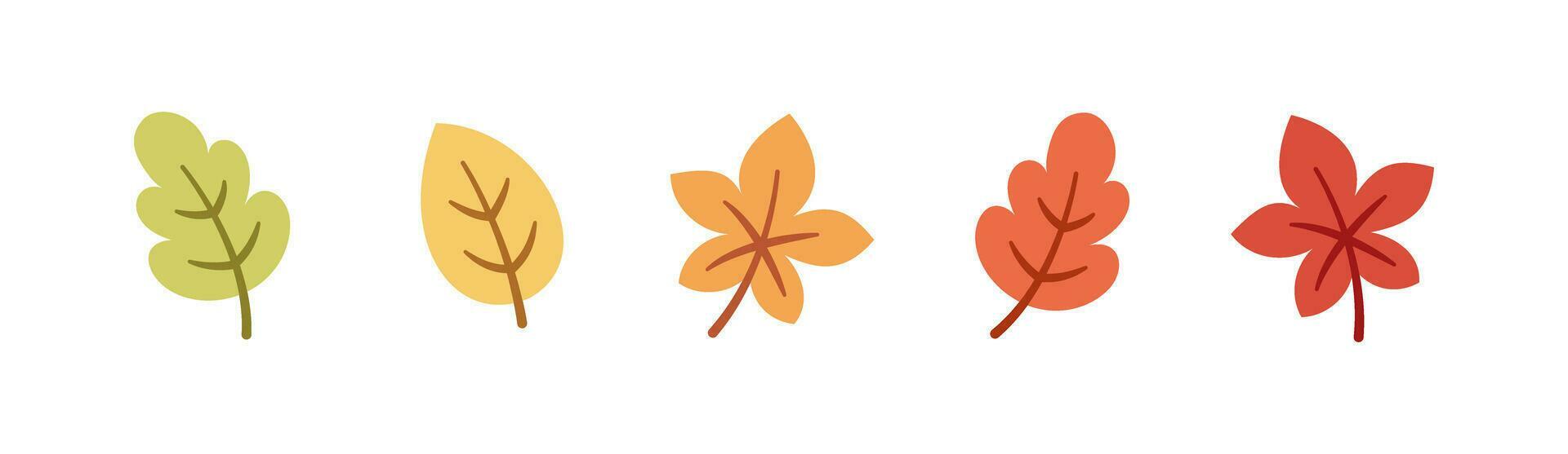 Cute autumn leaves vector illustration set. 25570547 Vector Art at Vecteezy