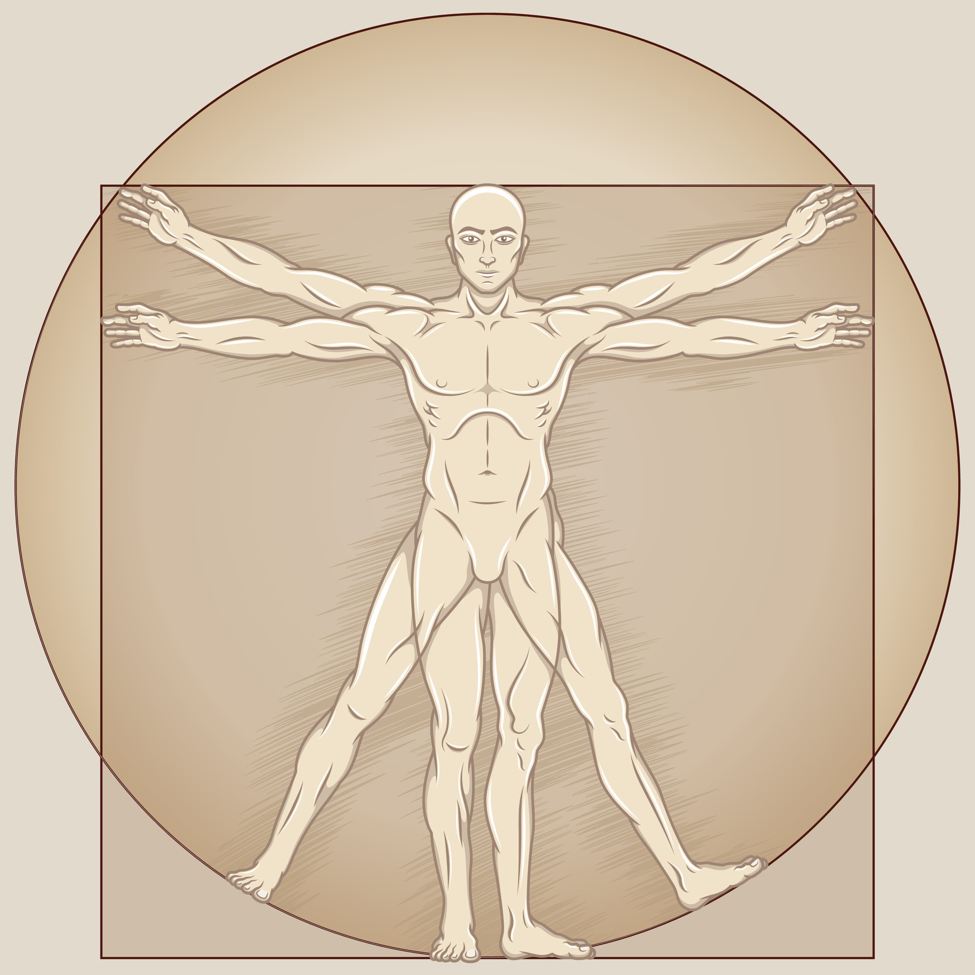 Vitruvian Man Vector Design 25750124 Vector Art At Vecteezy
