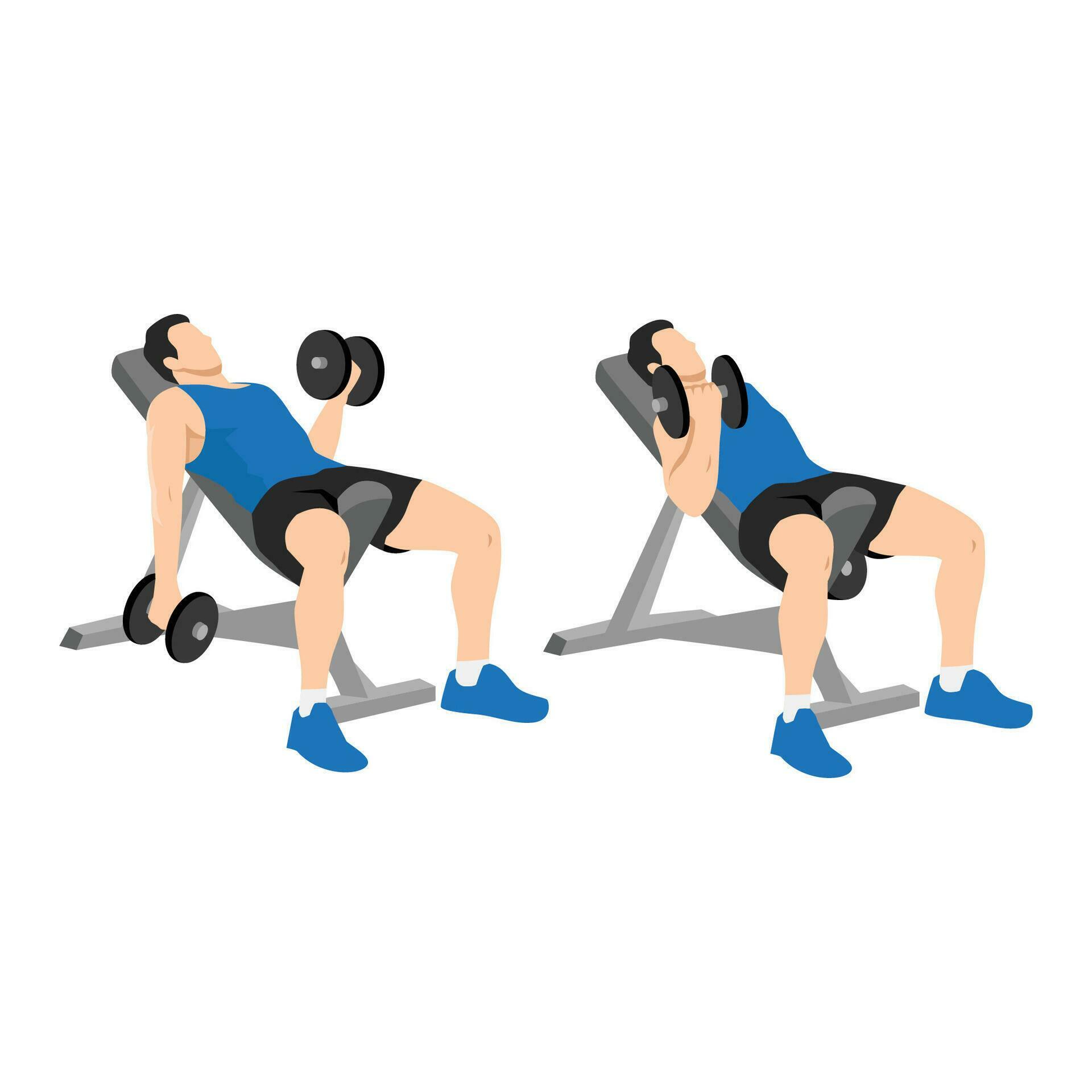 Man doing Seated alternating incline bench dumbbell curls exercise. 25767921 Vector Art at Vecteezy