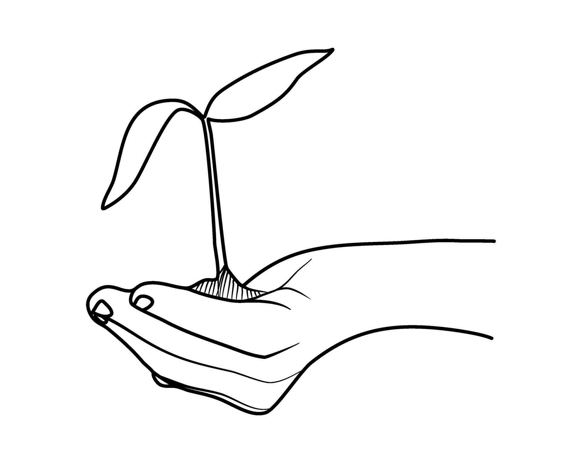 new plant tree botanical environment line art vector illustration ... new plant tree botanical environment line art vector illustration ...