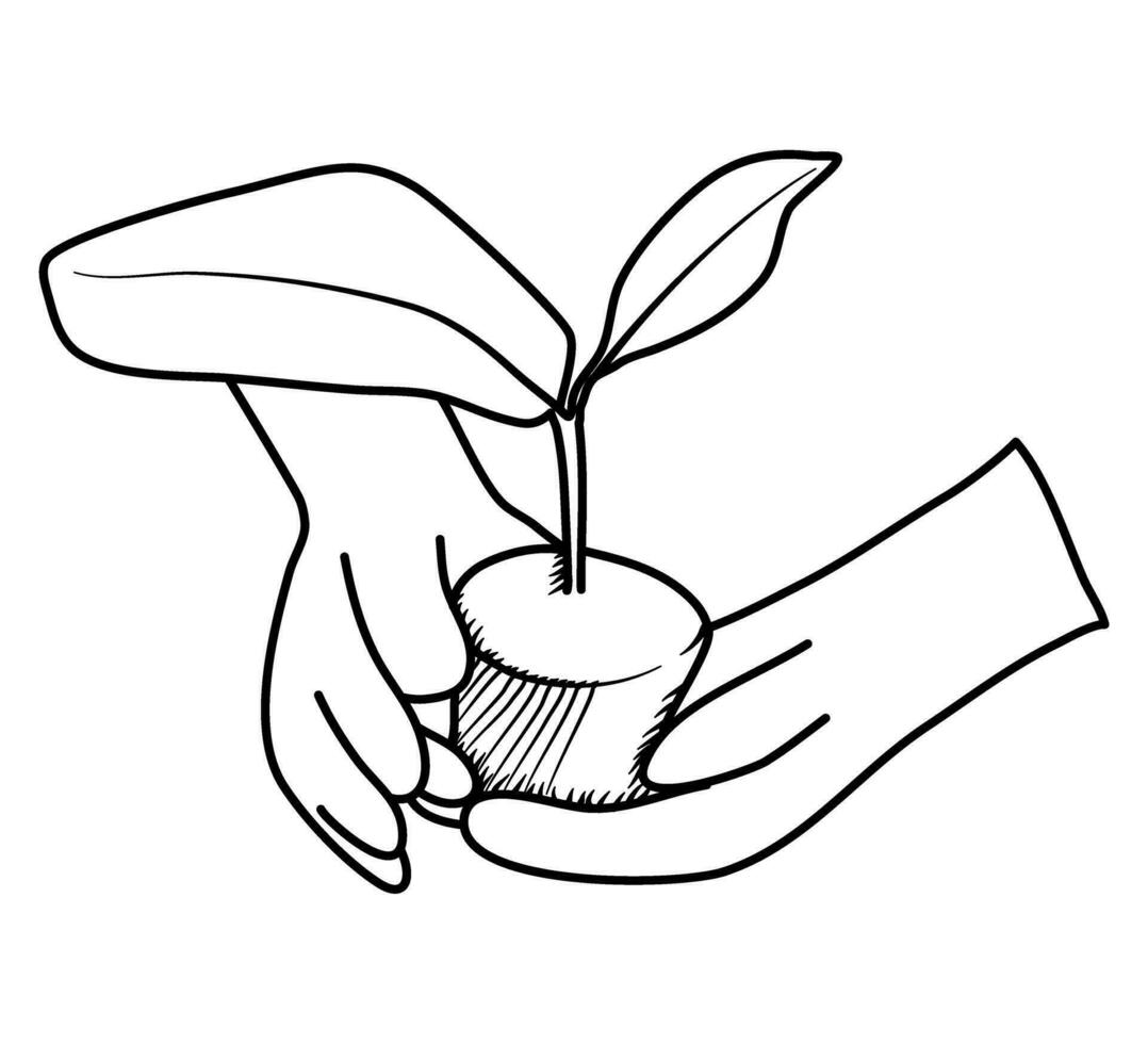 new plant tree botanical environment line art vector illustration ... new plant tree botanical environment line art vector illustration ...