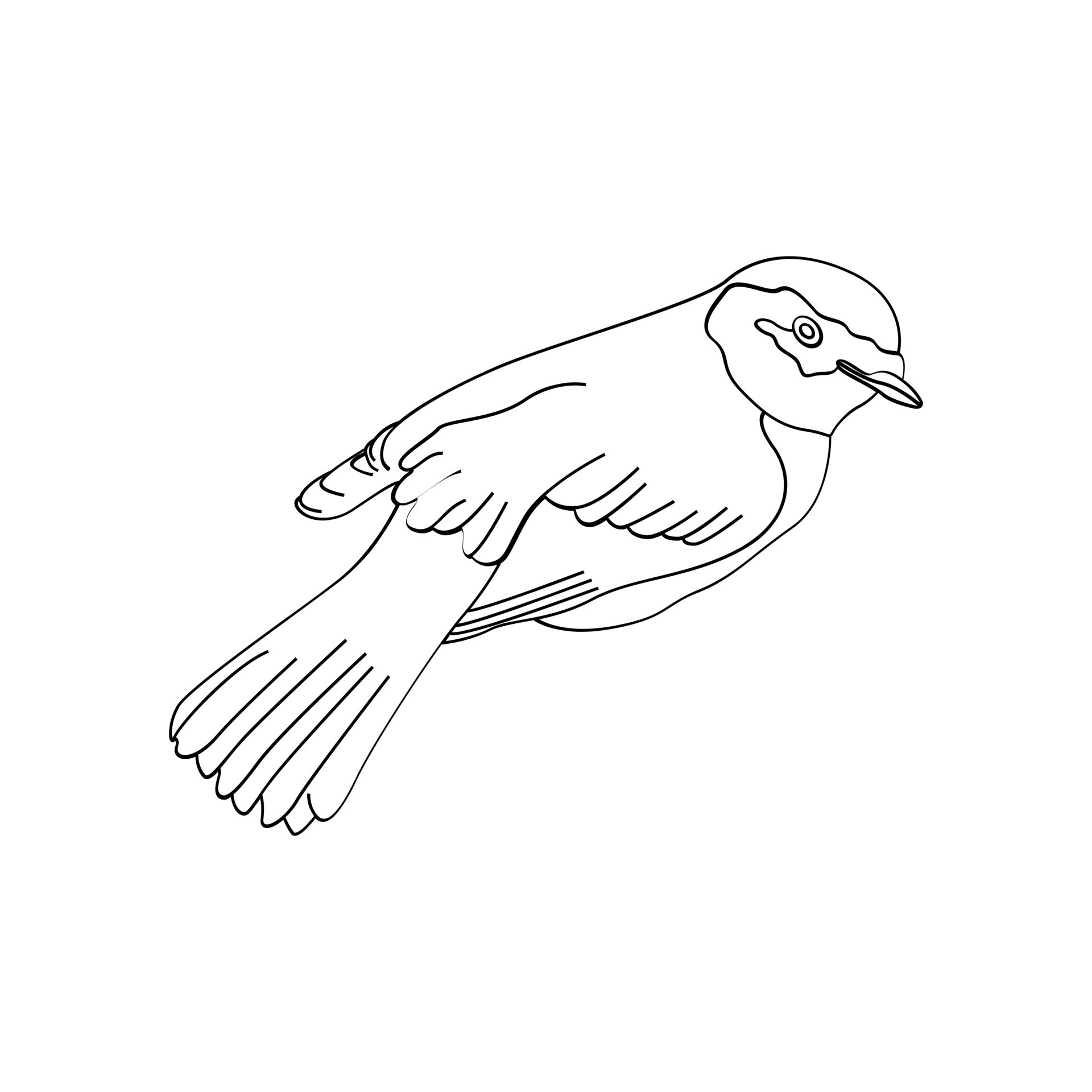 Bird outline vector for coloring book and tattoo design. Bird line art ...