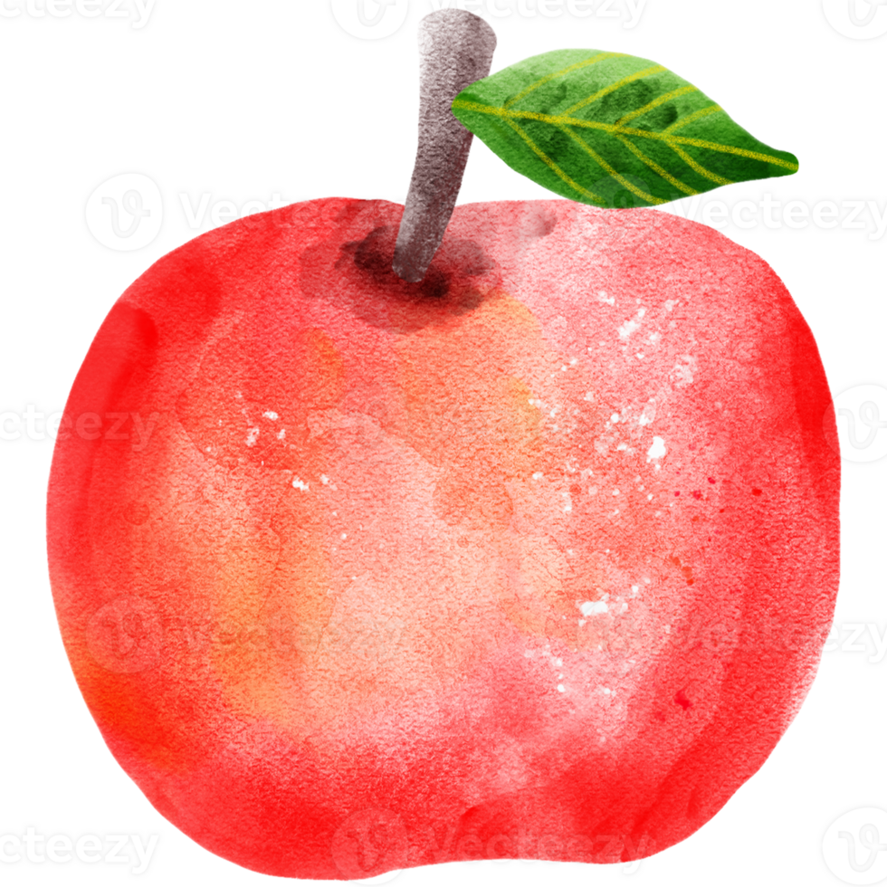 Watercolor apple.Hand drawn modern decorative fruit objects isolated on ...