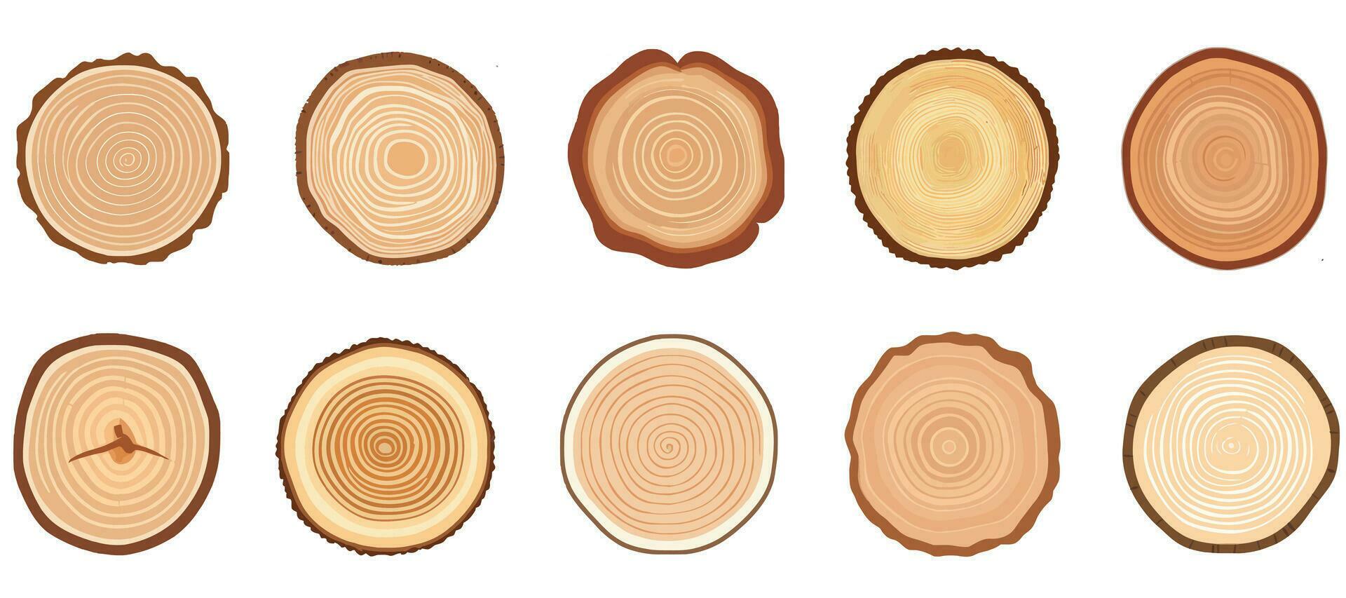 Tree Trunk Cross Section Set Tree Rings Tree Trunk Rings Isolated