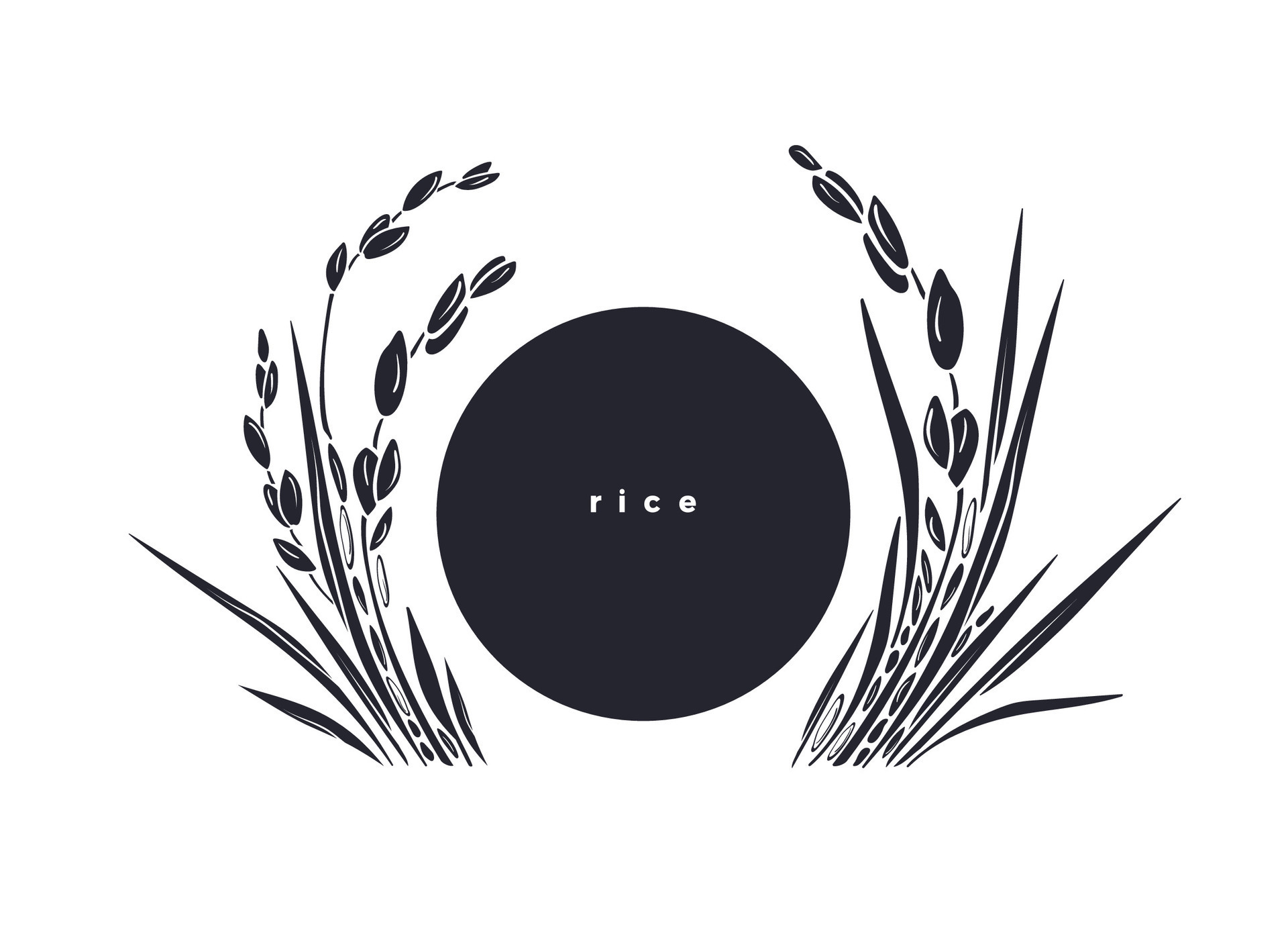 Rice template. Vector paddy field, grains. Graphic 25837862 Vector Art ...