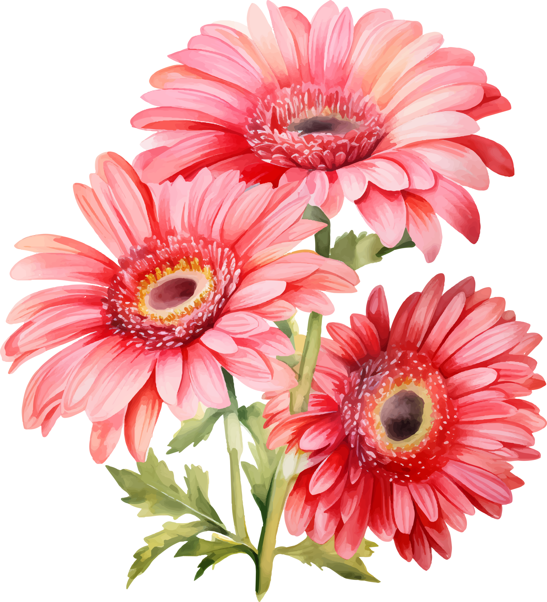 Gerbera daisies flowers watercolor ai generate 25860425 PNG Gerbera daisies flowers watercolor ai generate 25860425 PNG