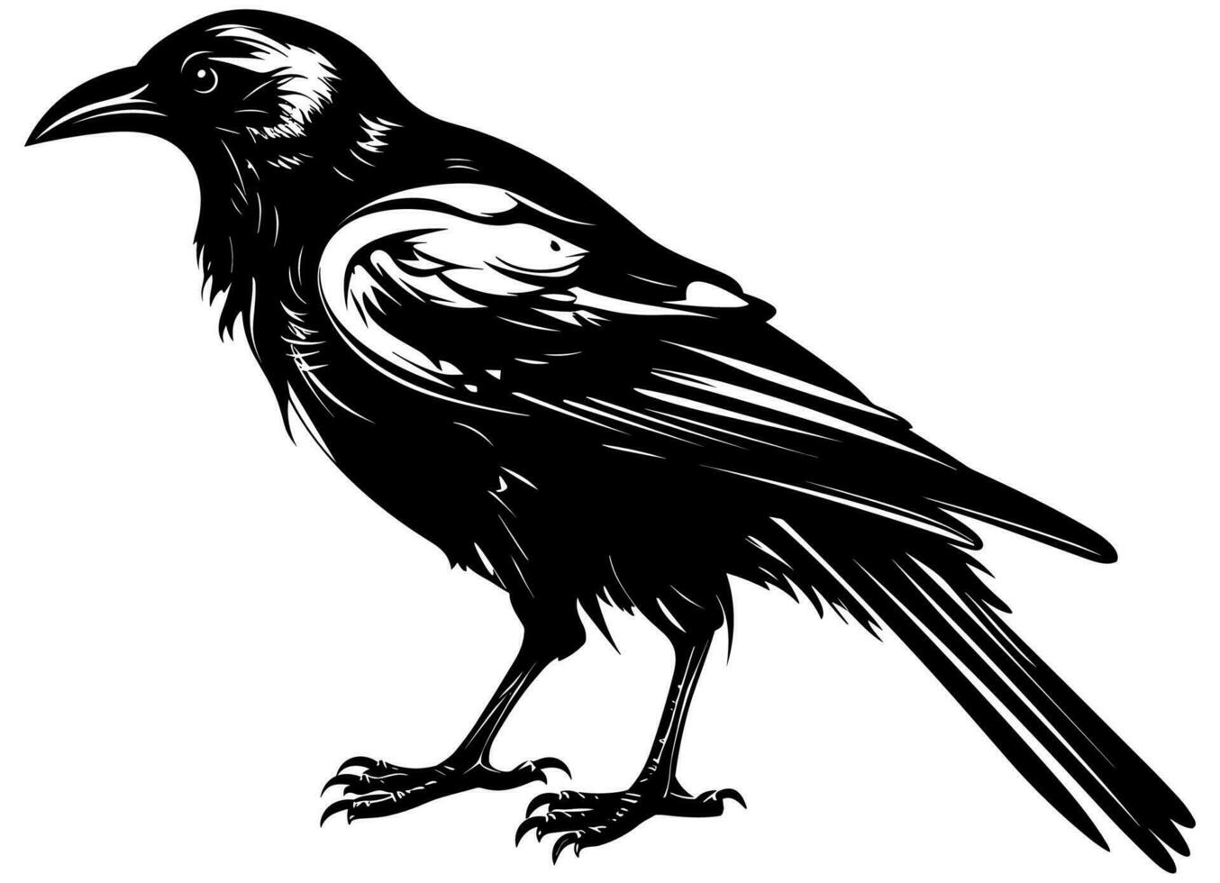Crow Black and White 25876280 Vector Art at Vecteezy Crow Black and White 25876280 Vector Art at Vecteezy
