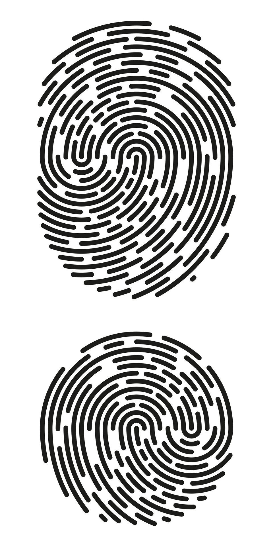 Fingerprint Identification Symbol Icon Set In Flat Style Security