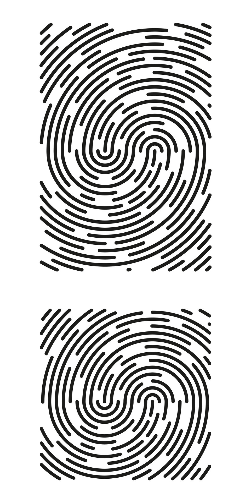 Fingerprint Identification Symbol Icon Set In Flat Style Security