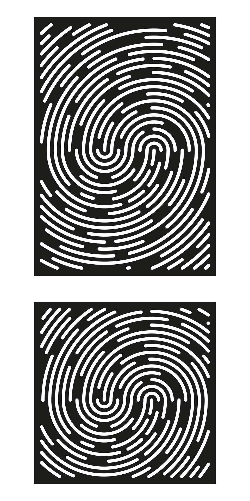 Fingerprint Identification Symbol Icon Set In Flat Style Security