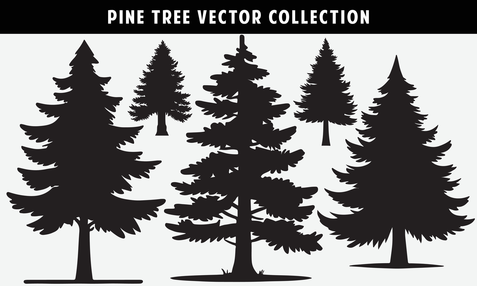 set of pine trees silhouettes vector graphics for design 25901464 ...