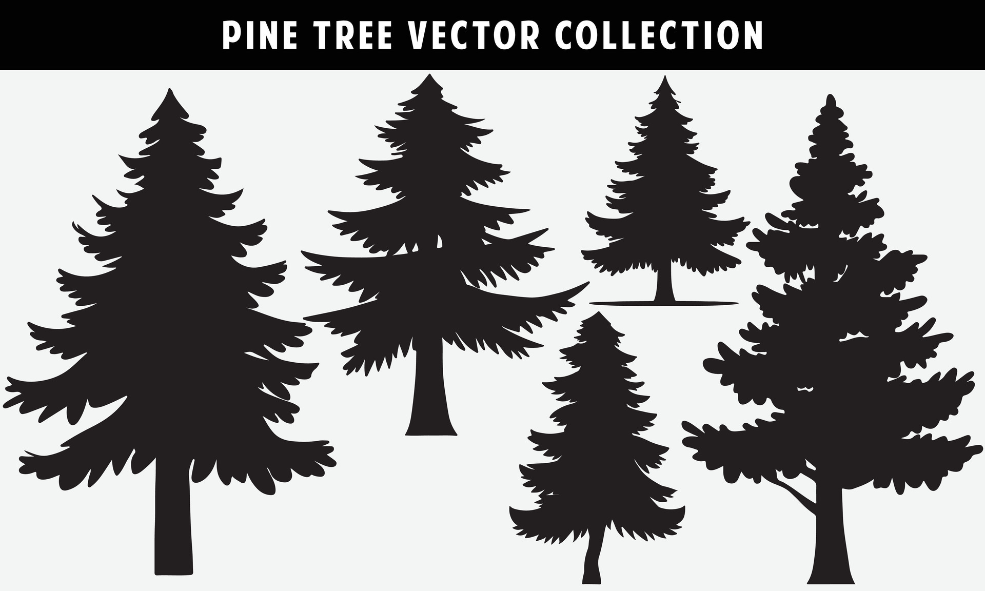 set of pine trees silhouettes vector graphics for design 25901486 ...