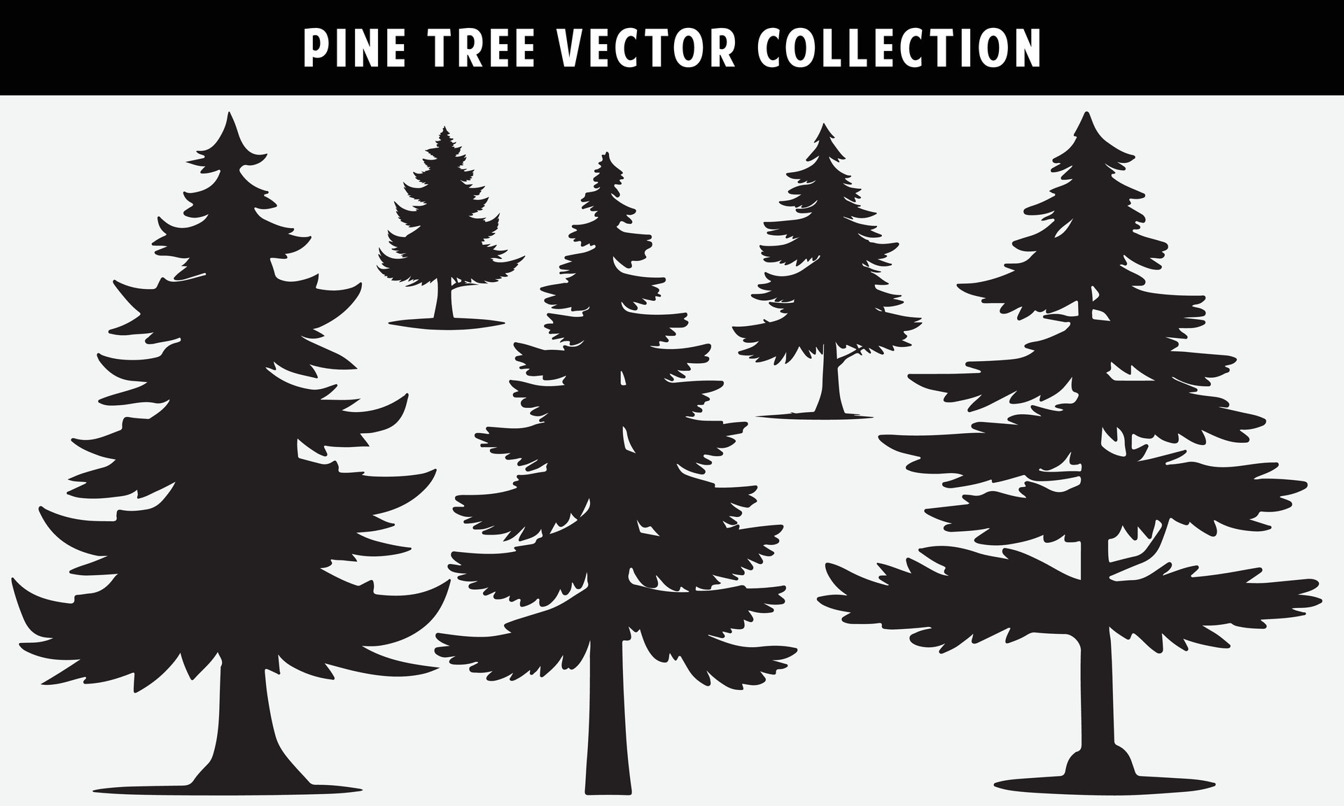 set of pine trees silhouettes vector graphics for design 25901490 ...