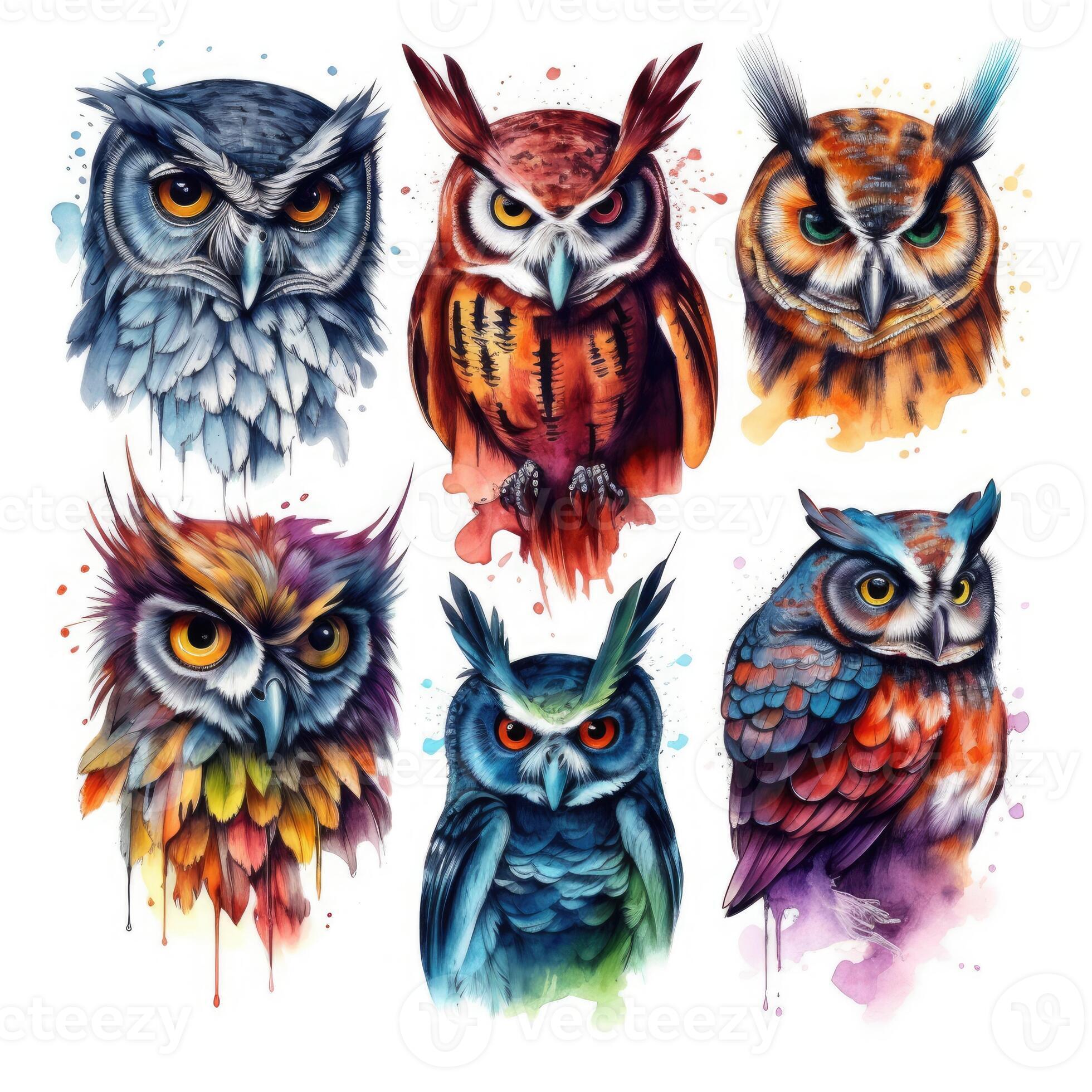 Colorful Owl Tattoo Designs On White Background For Body Art