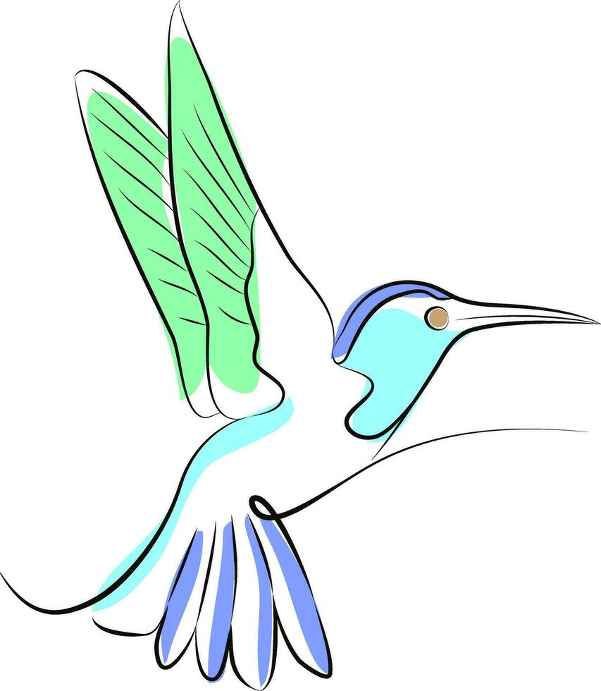 Beautiful Tropical Bird Hummingbirds Continuous One Line Drawing