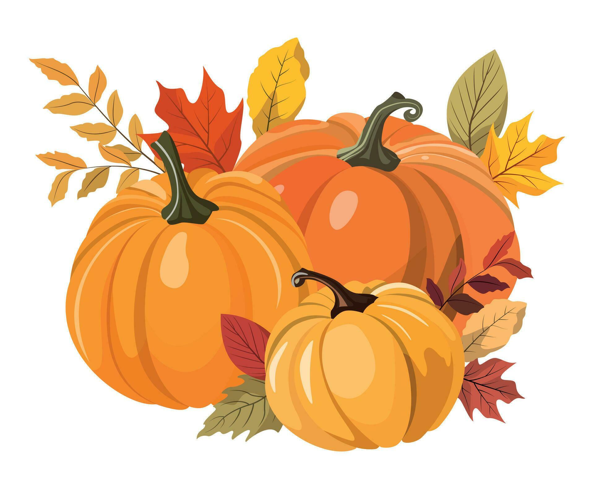 Colorful autumn pumpkins and forest leaves clipart. Vector illustration ...