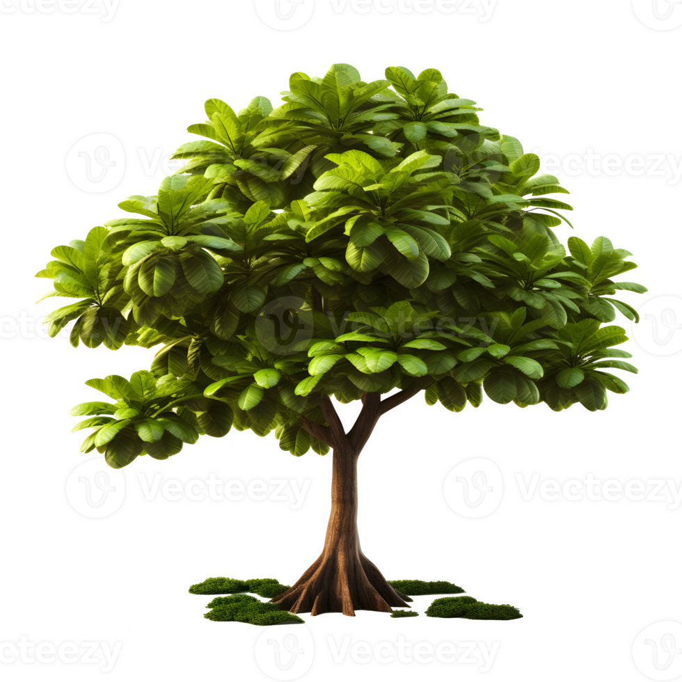 tree isolated on transparent background ,3d render illustration of tropical trees ,generative ai ...