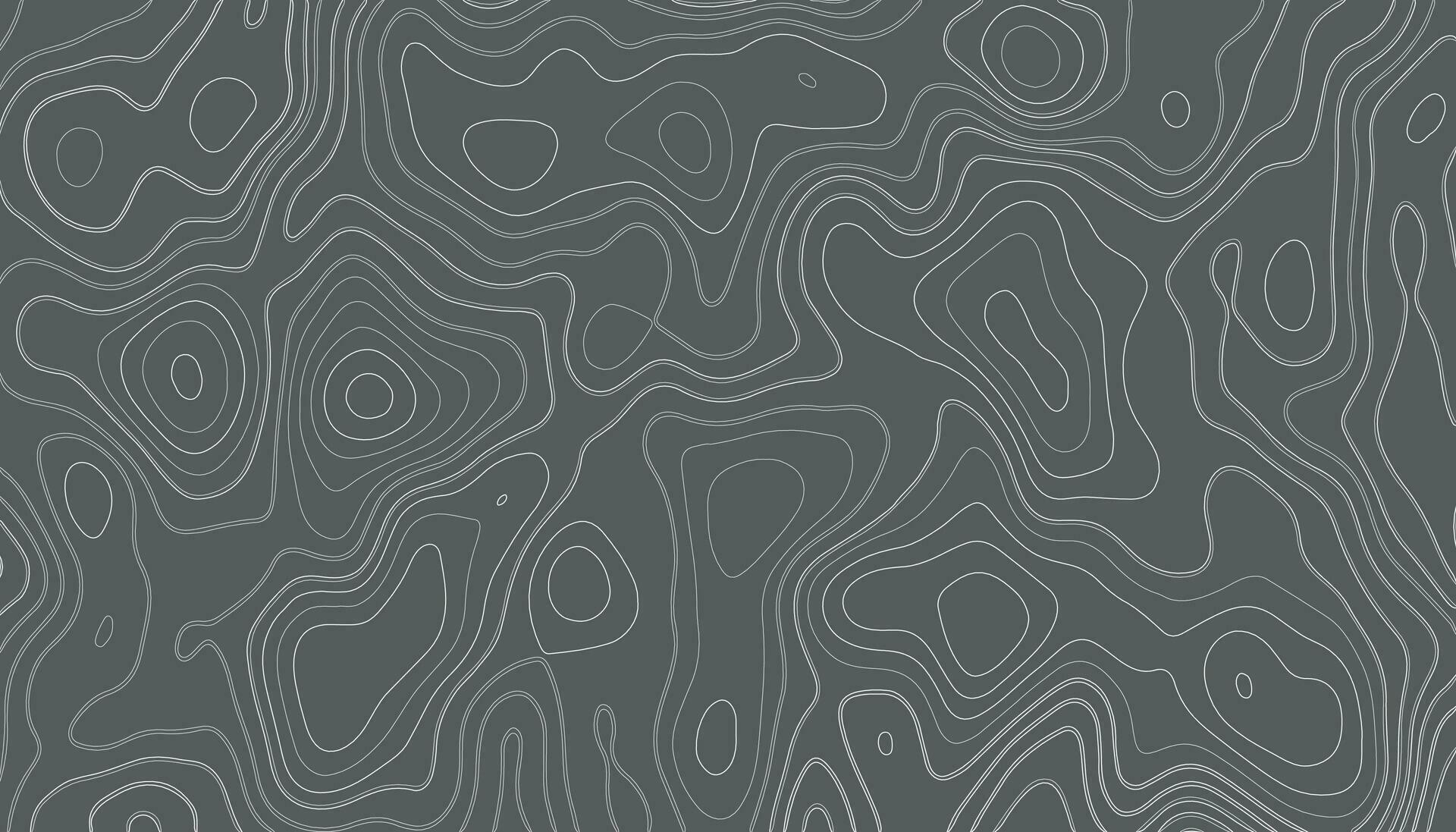 Background of the topographic map. Elevation contouring outline ...