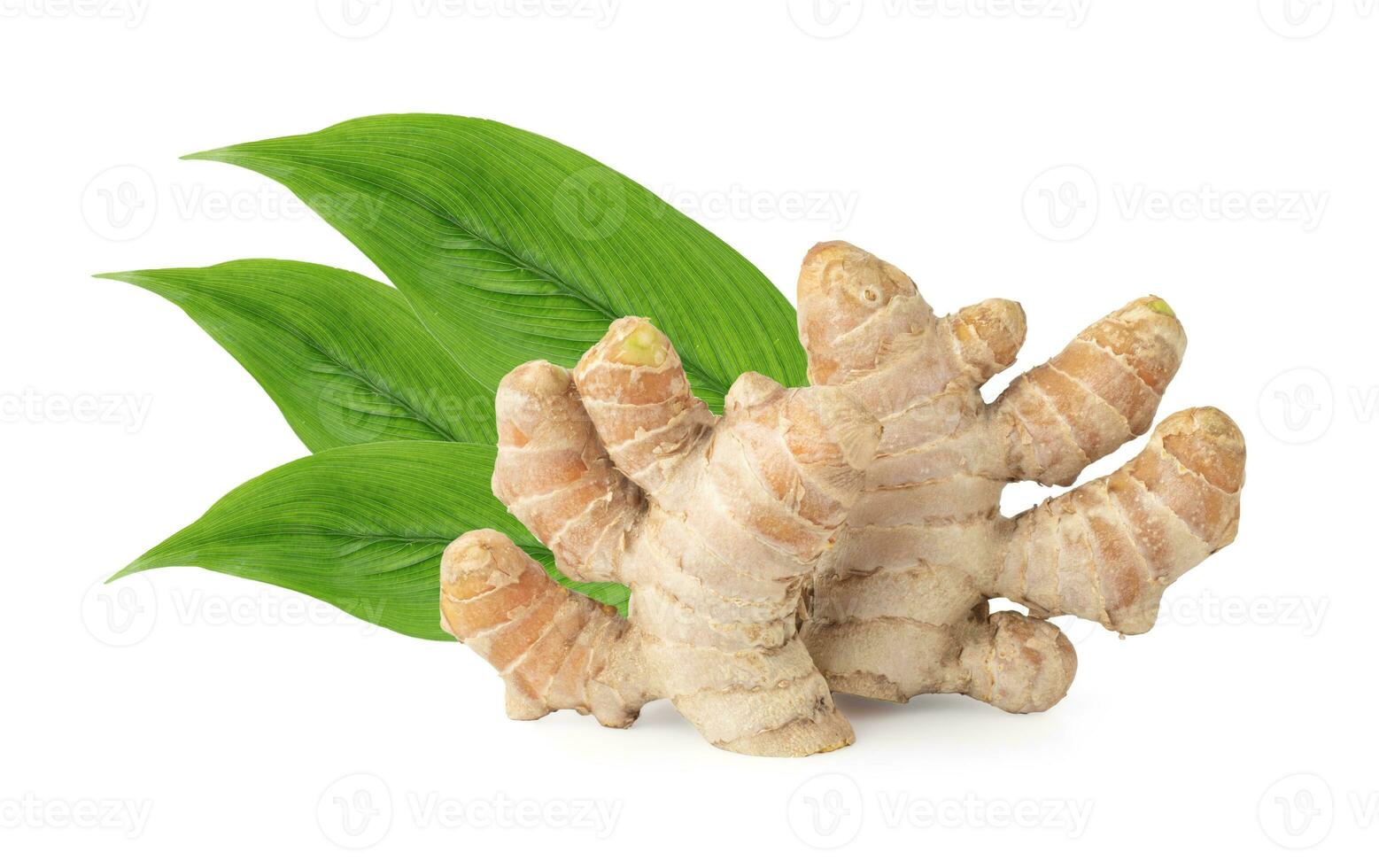 Fresh ginger rhizome with sliced and green leaves isolated on white ...