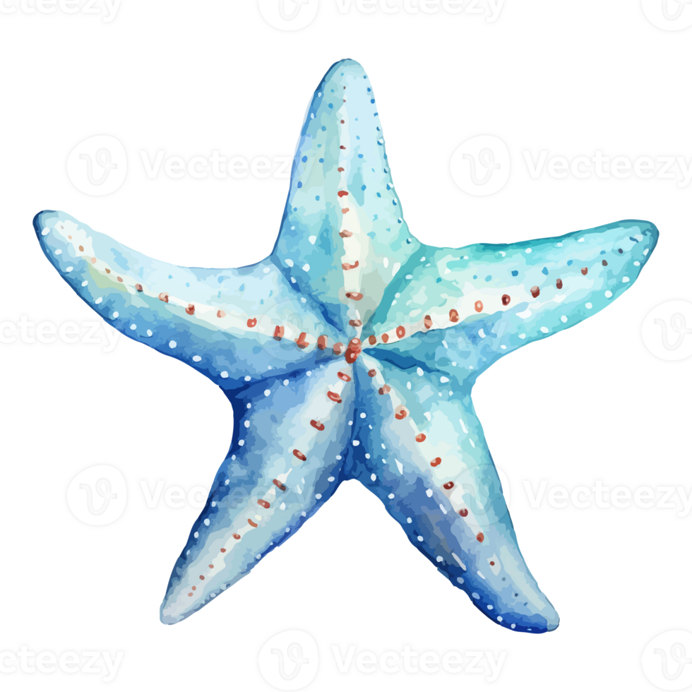 Starfish watercolor, sea animals Watercolor Painting, . 26158877 PNG