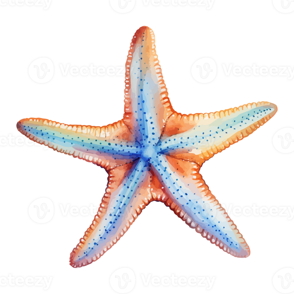 Starfish watercolor, sea animals Watercolor Painting, generative ai ... Starfish watercolor, sea animals Watercolor Painting, generative ai ...