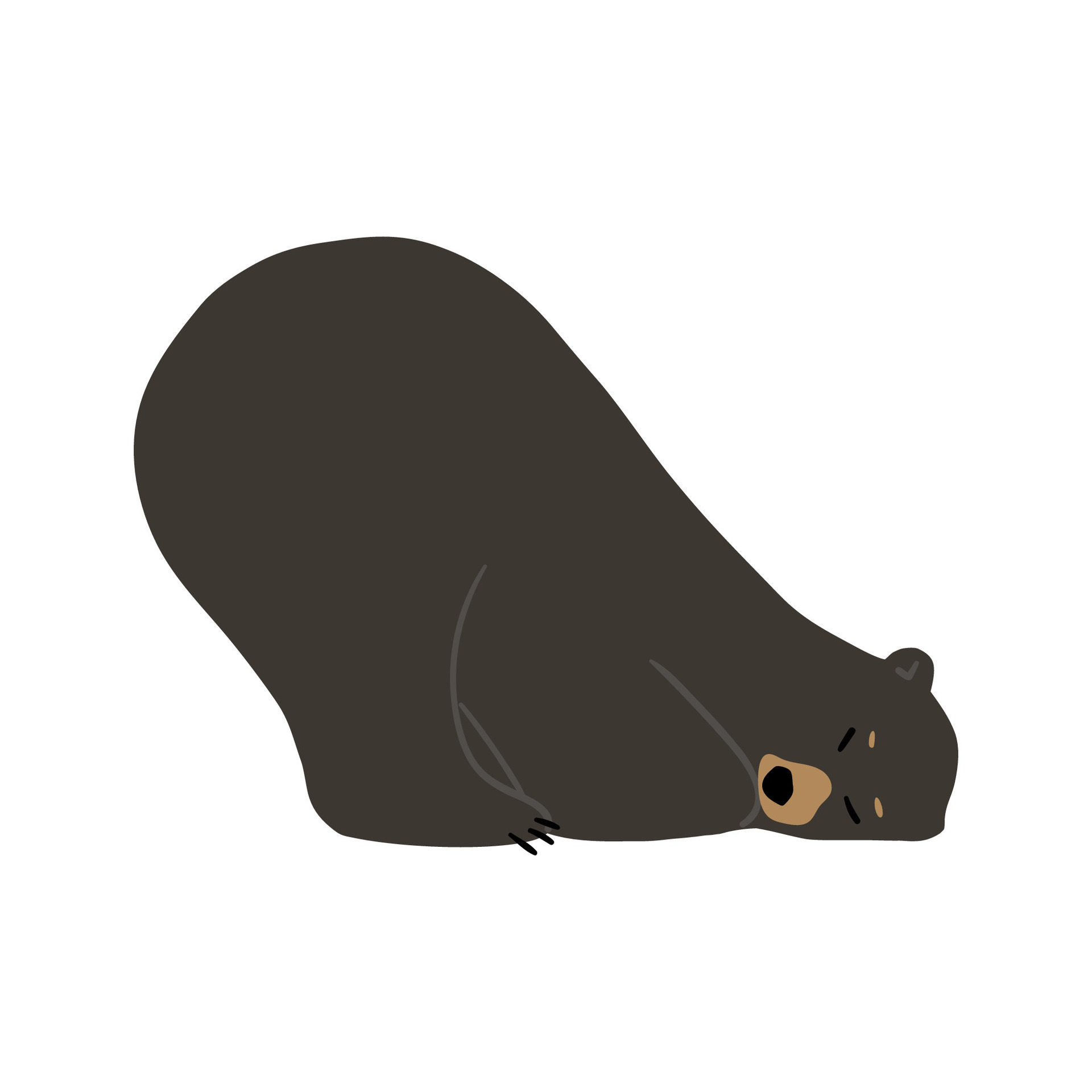 Hibernating Bear Vector Art, Icons, and Graphics for Free Download